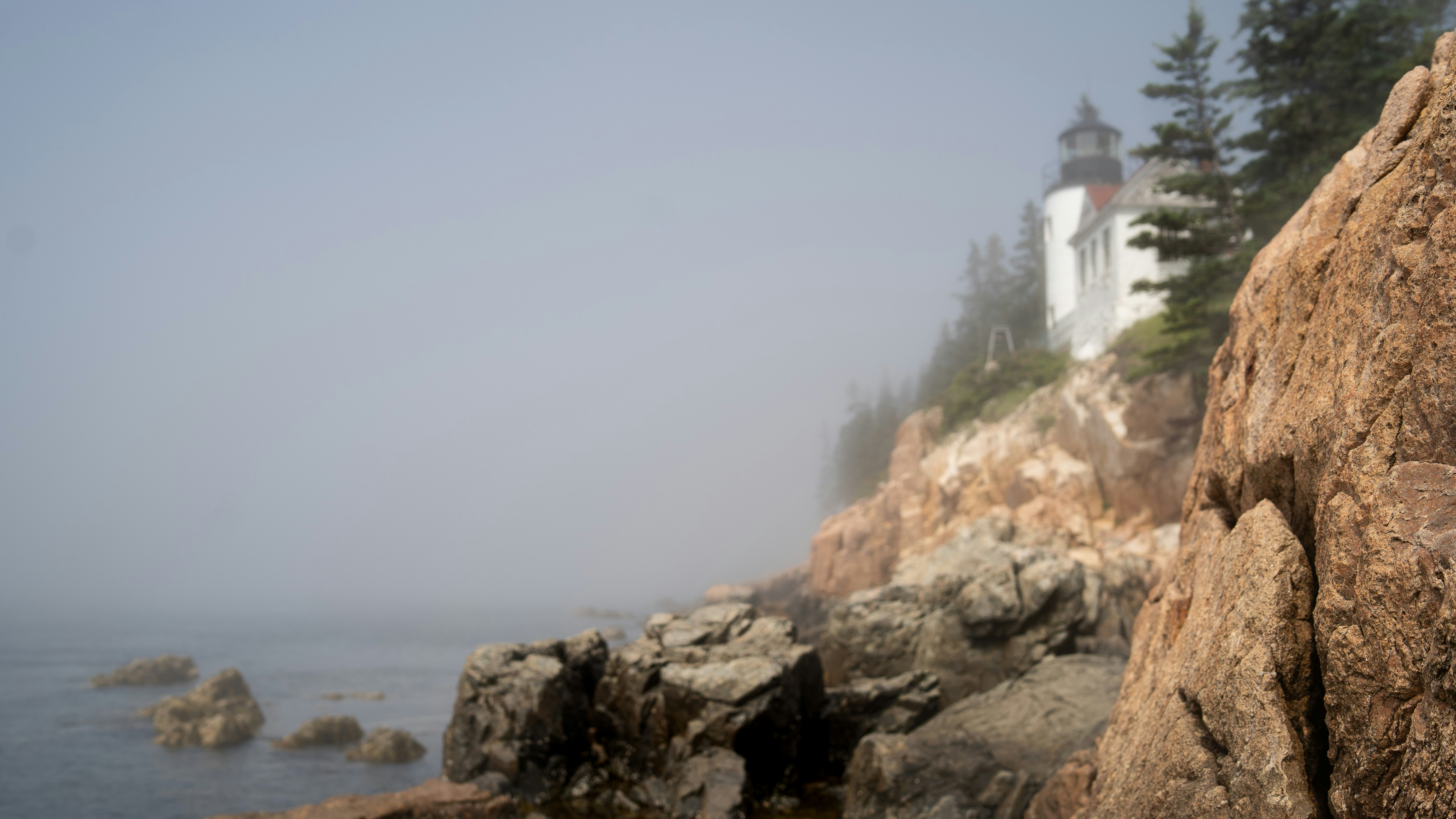 A foggy day at a lighthouse on a rocky shore photo – Free Fog Image on ...