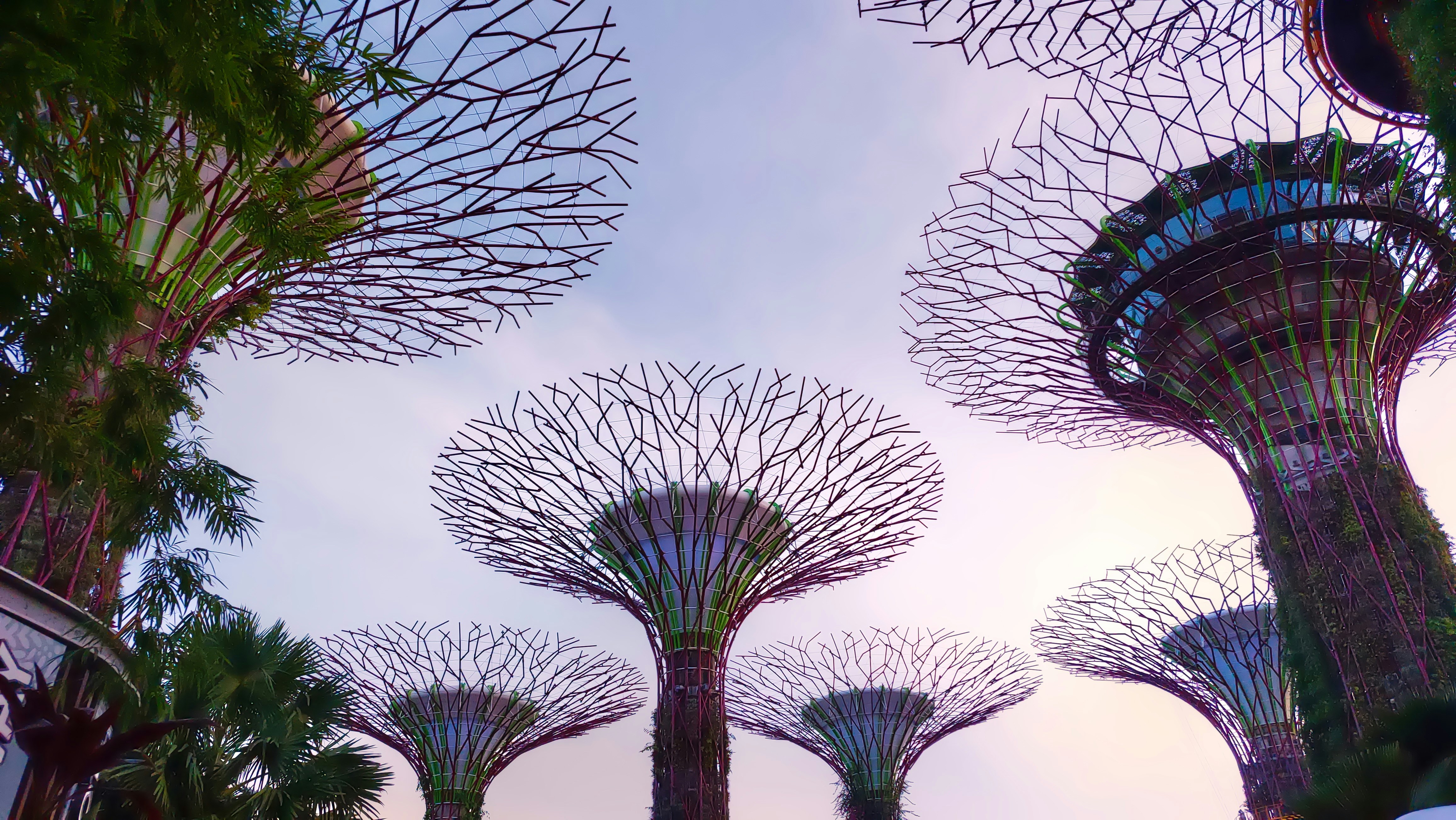 Photo by Michael Stevanus Hartono with Samsung Galaxy A52s