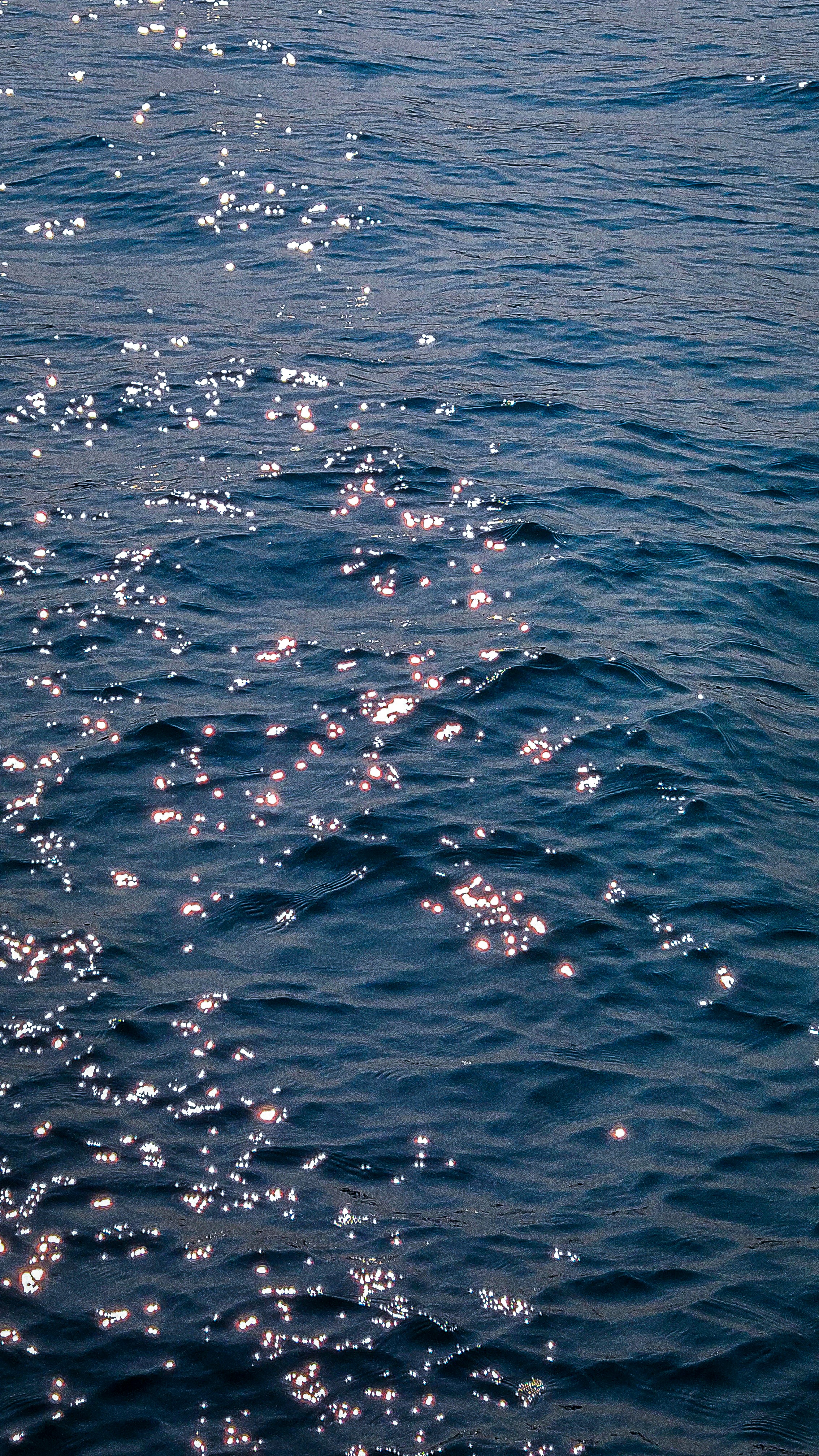 Photo by ˈFaa-te-məh Hashemi with Samsung Galaxy S20