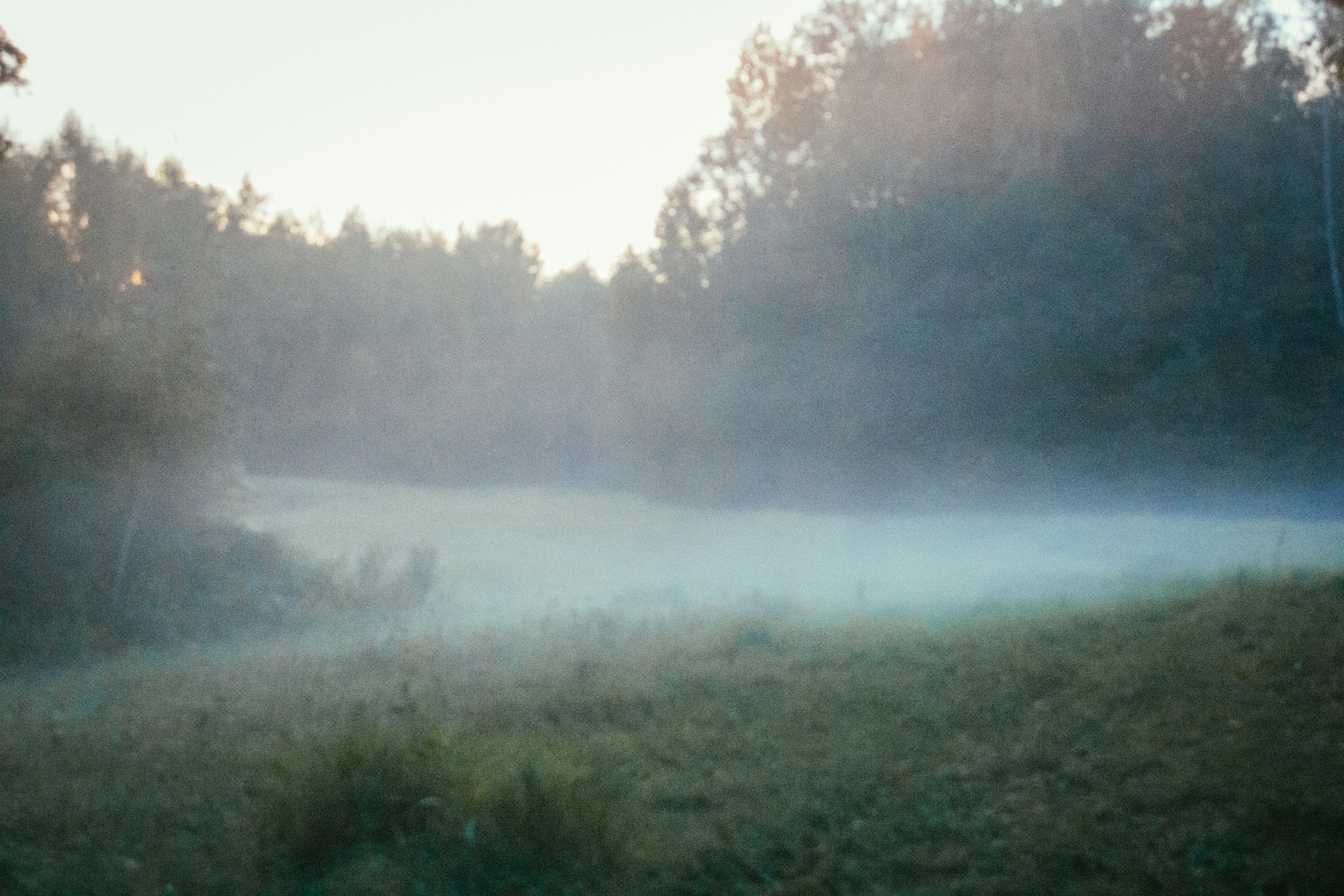 Photo by kub liz with Canon EOS M50 Mark II