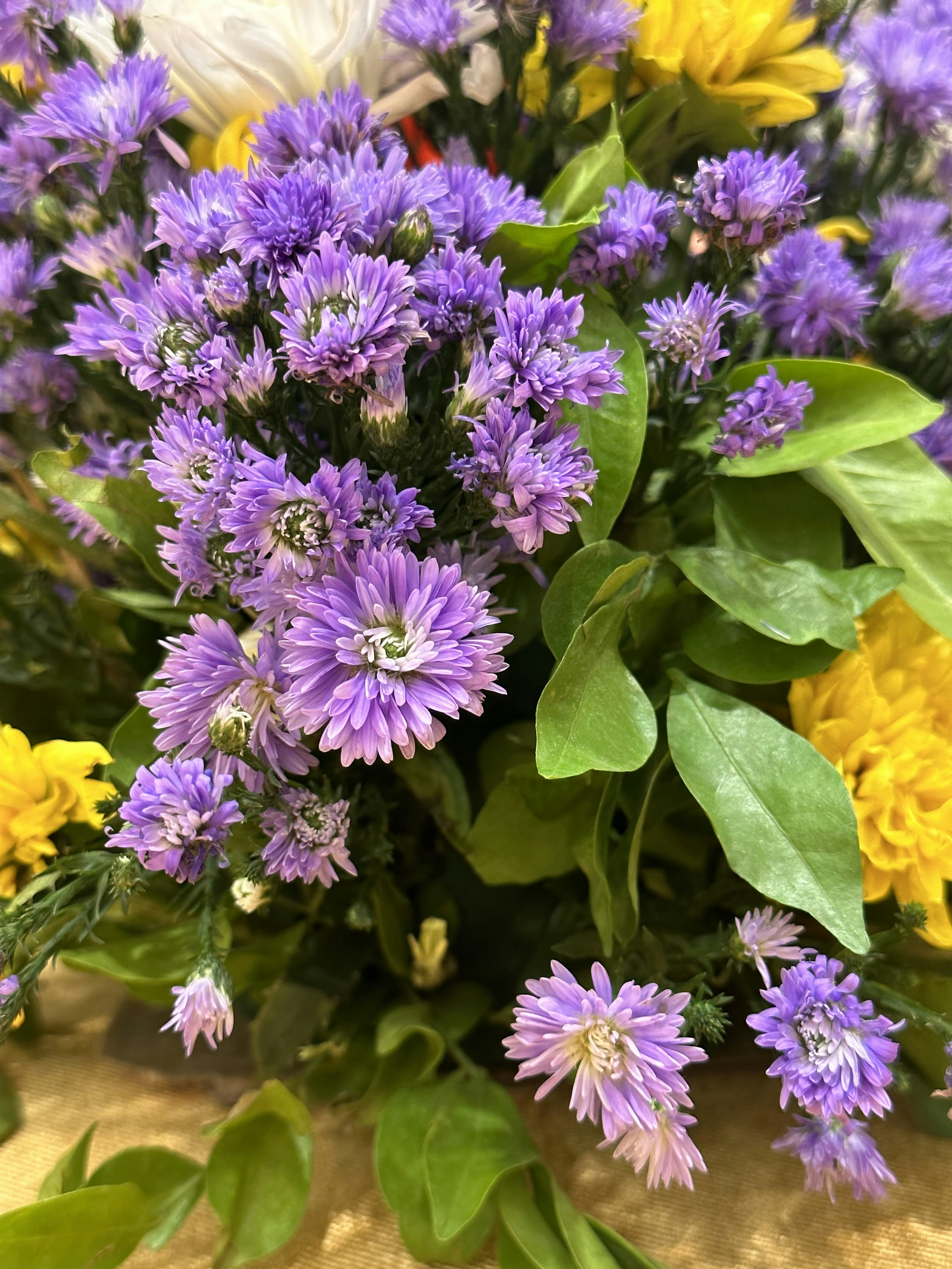 Vibrant Harmony of Nature's Palette
