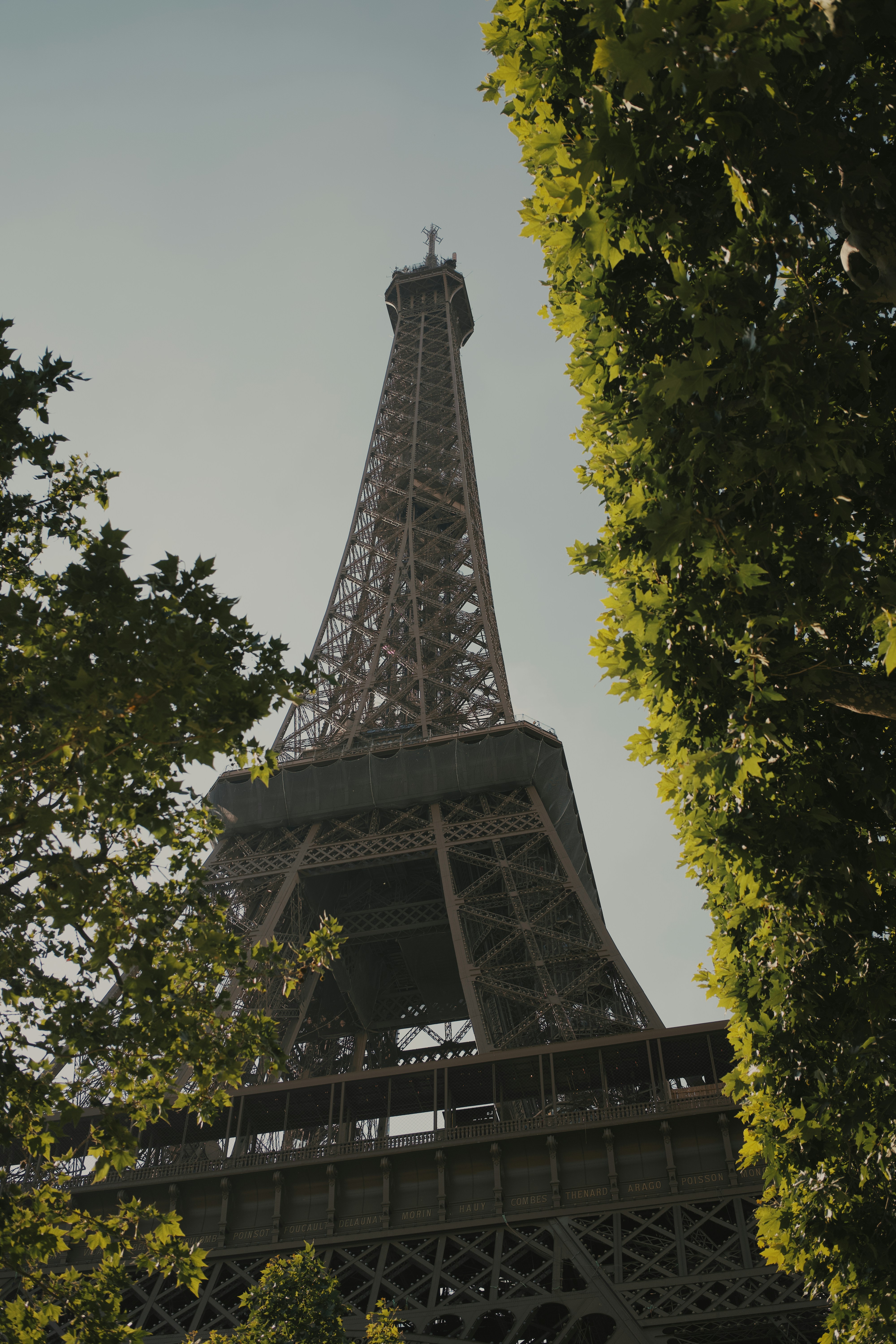Iron Lace Ascendancy: Eiffel Tower Framed by Parisian Green
