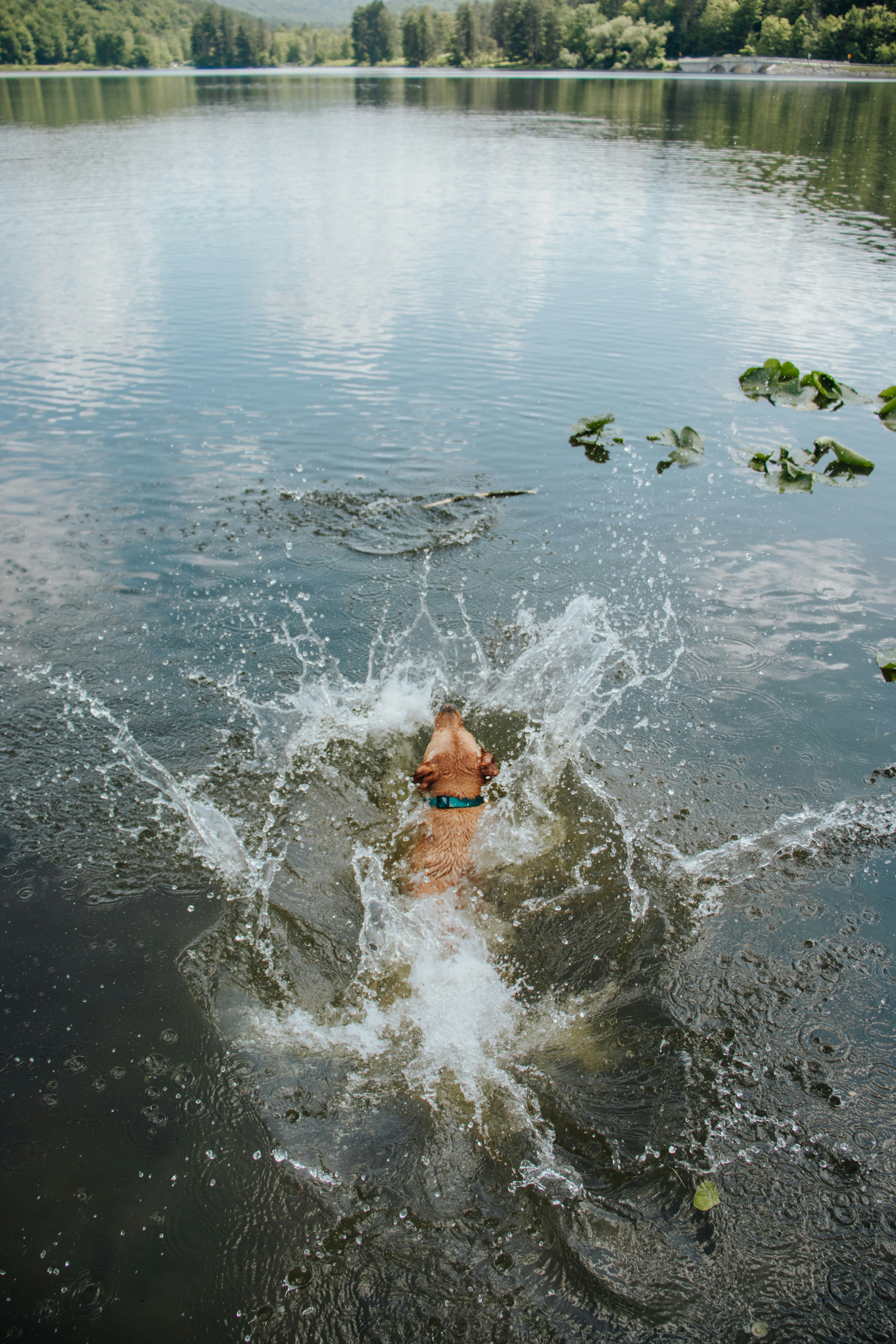 Photo by Sydney Moore with Canon EOS 250D