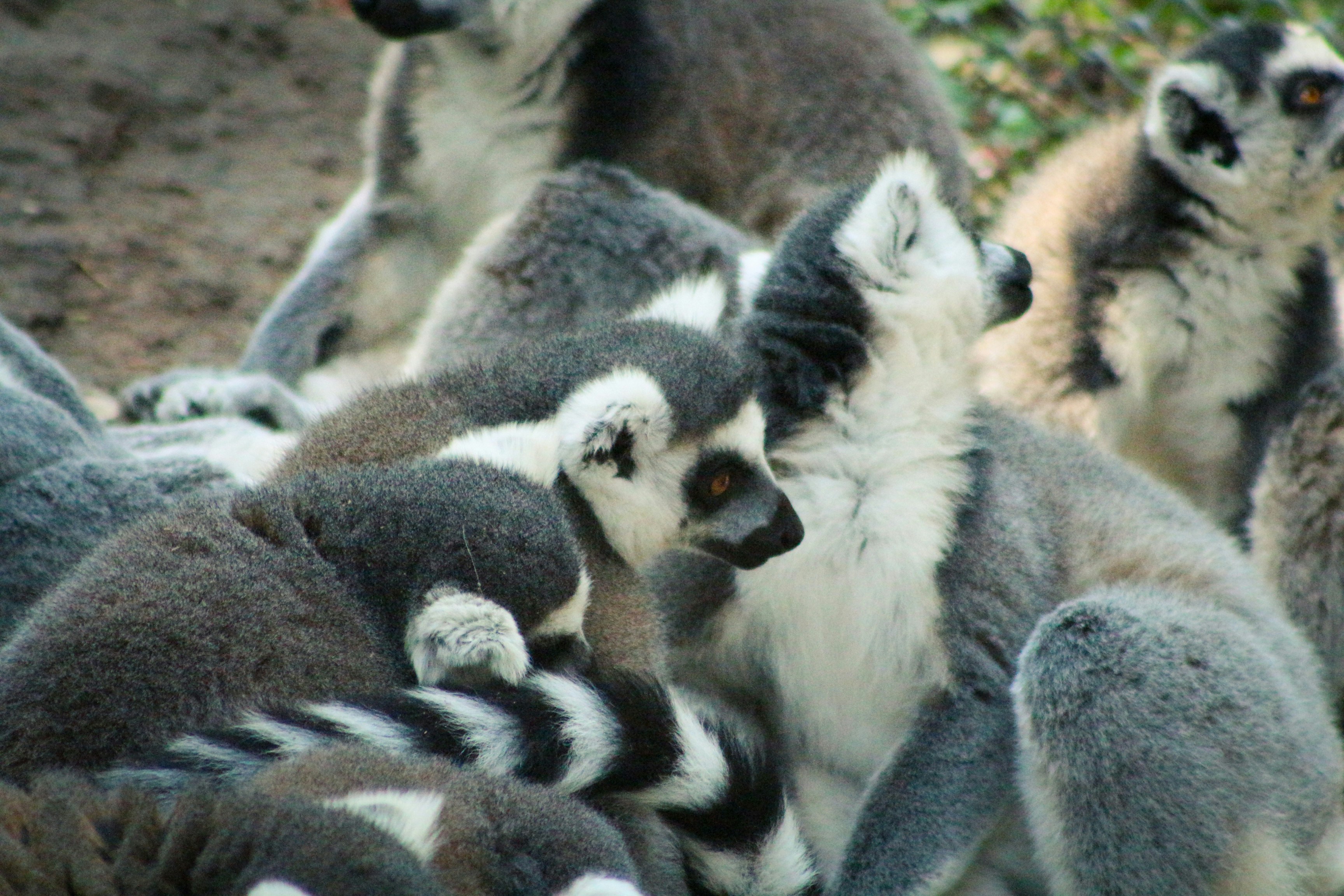 Photo by ARTURO ARAMBULA with Canon EOS 700D