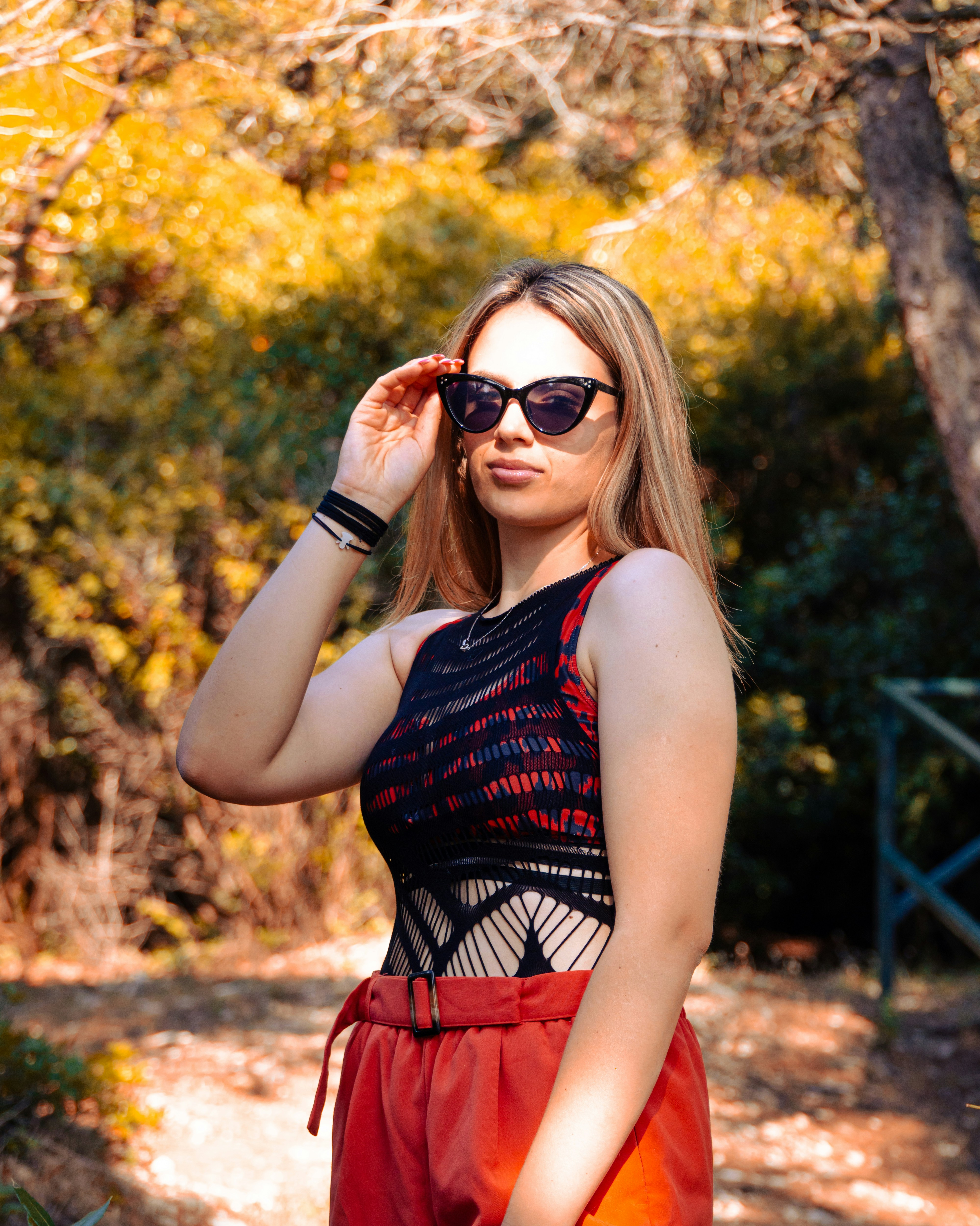 Autumn Spotlight: Confidence in Sunlit Foliage