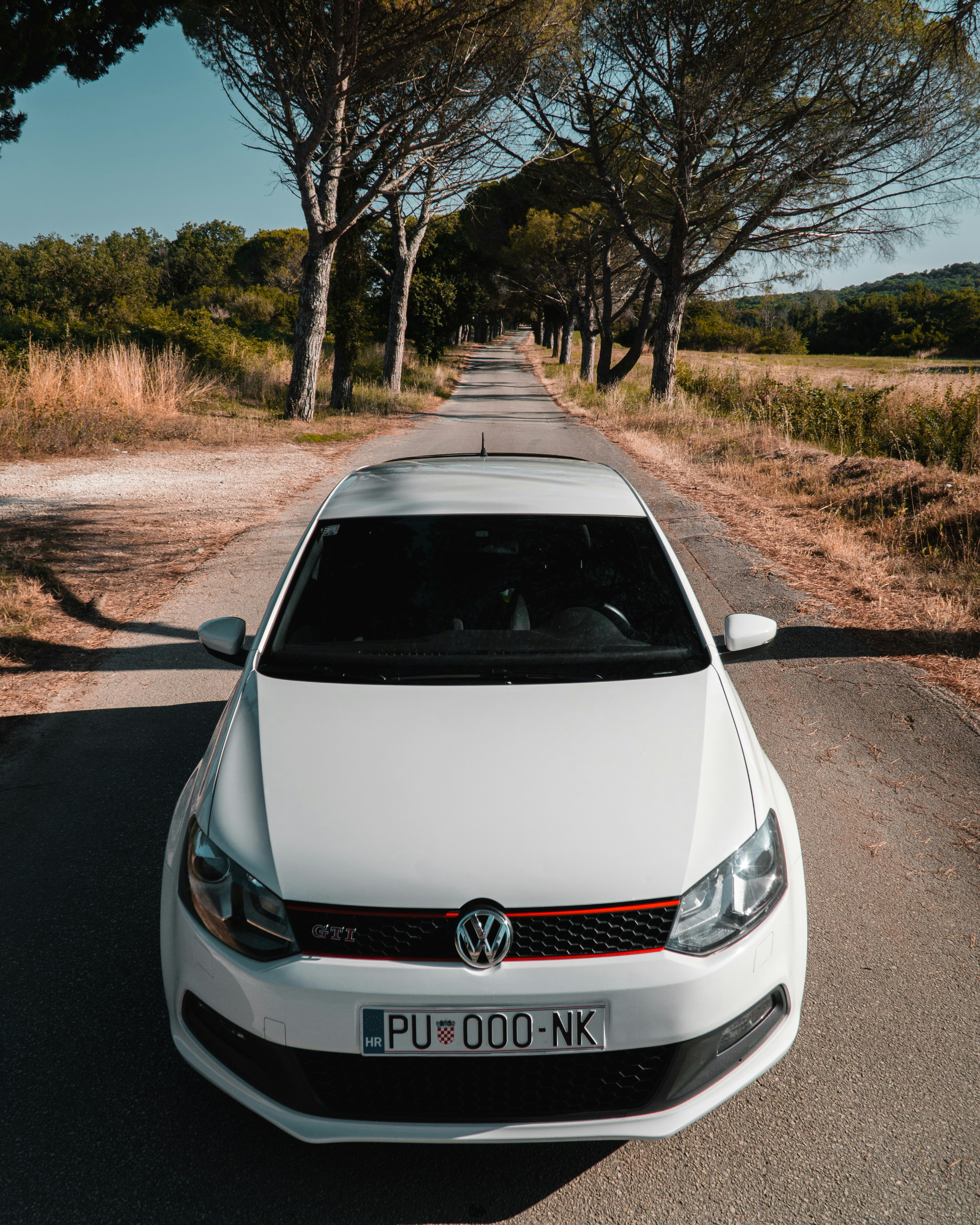 Top-Down Drive: White Volkswagen on a Tree-Lined Country Road
