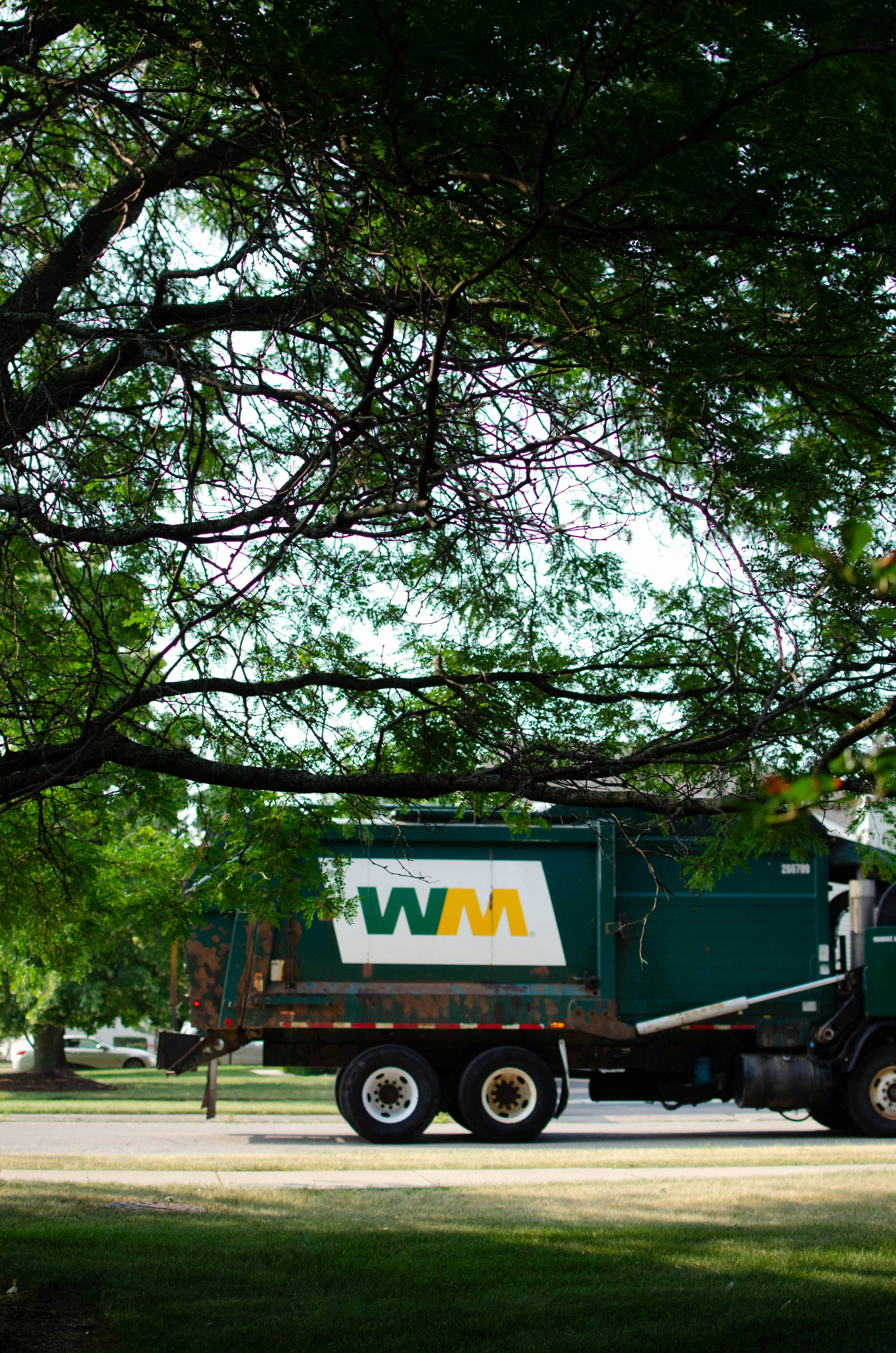 A green dump truck parked under a tree photo – Free Image on Unsplash