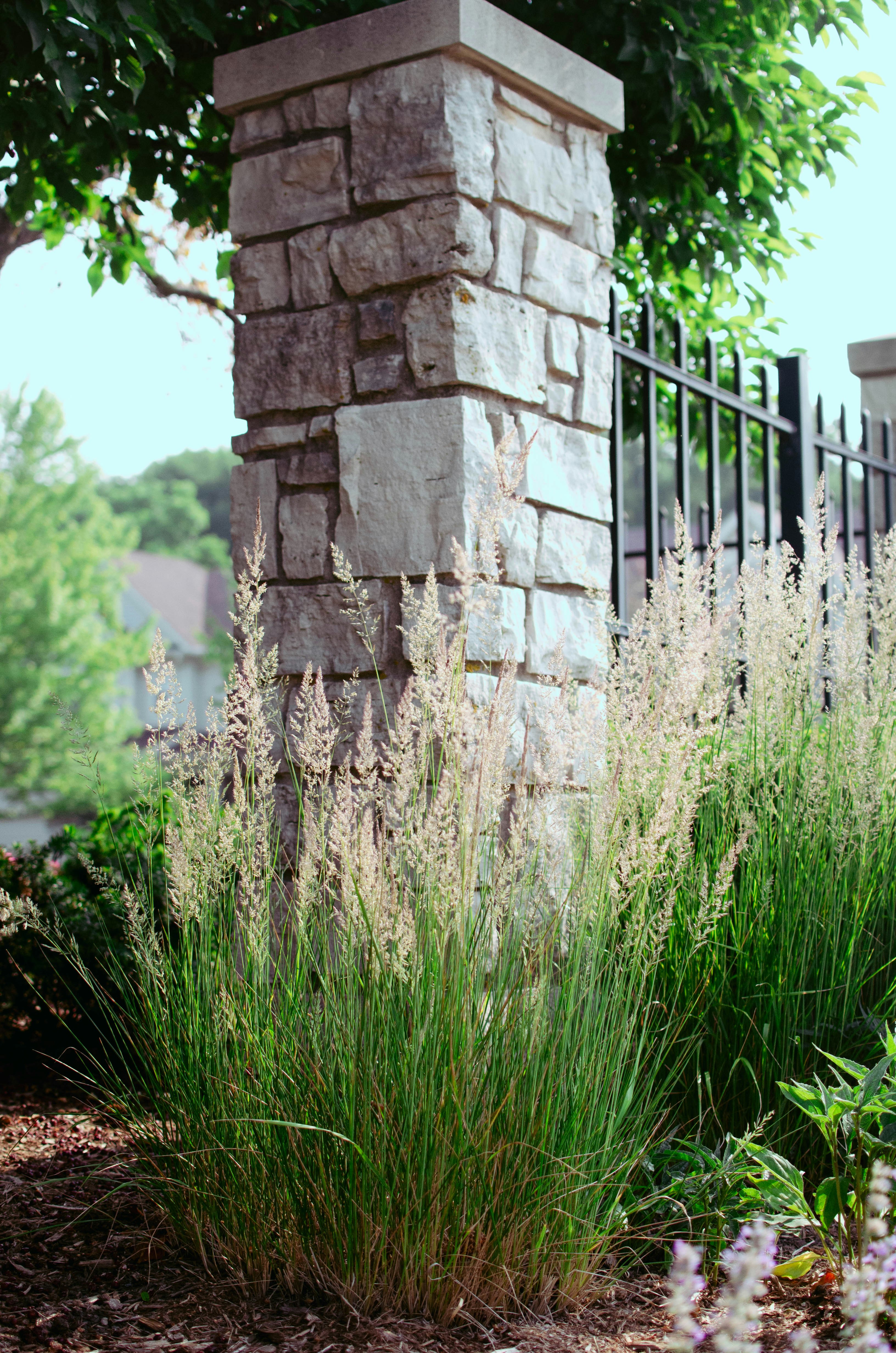 Tall grasses sway gently beside a stone pillar, framed by a wrought iron fence and lush greenery. The scene evokes a serene garden atmosphere.
