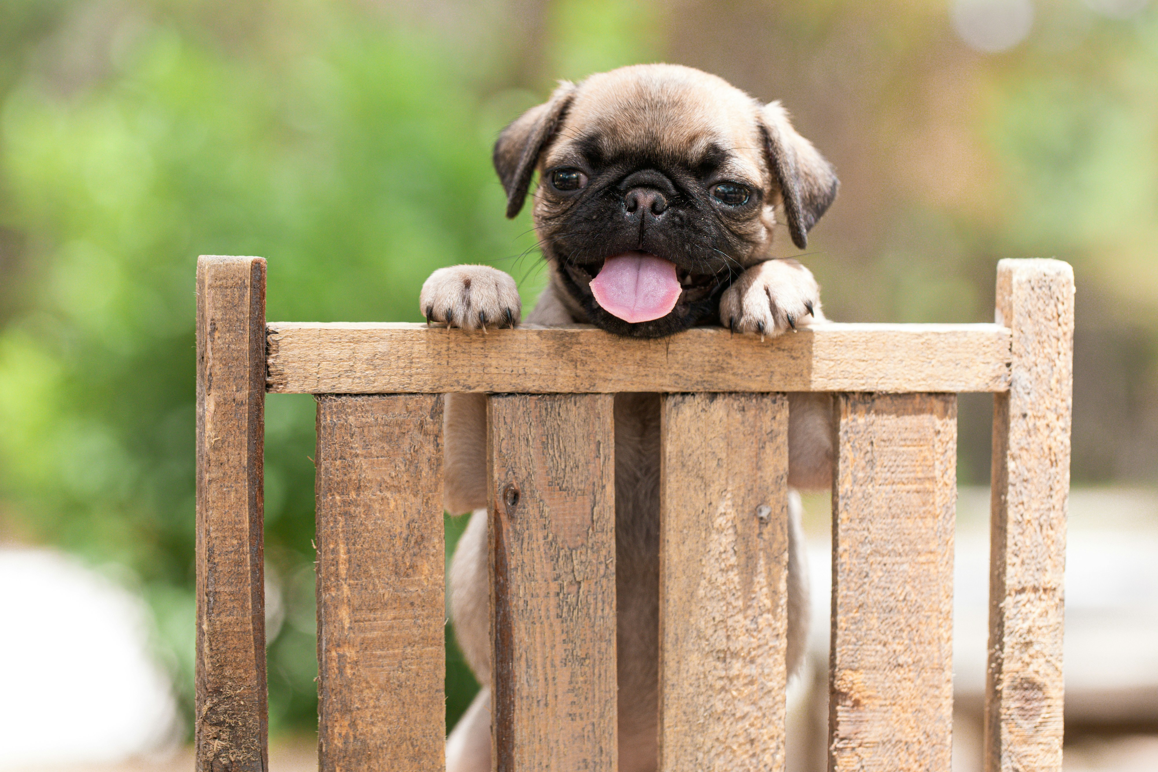 Photo by Howard R Wheeler with Canon EOS 5D Mark IV