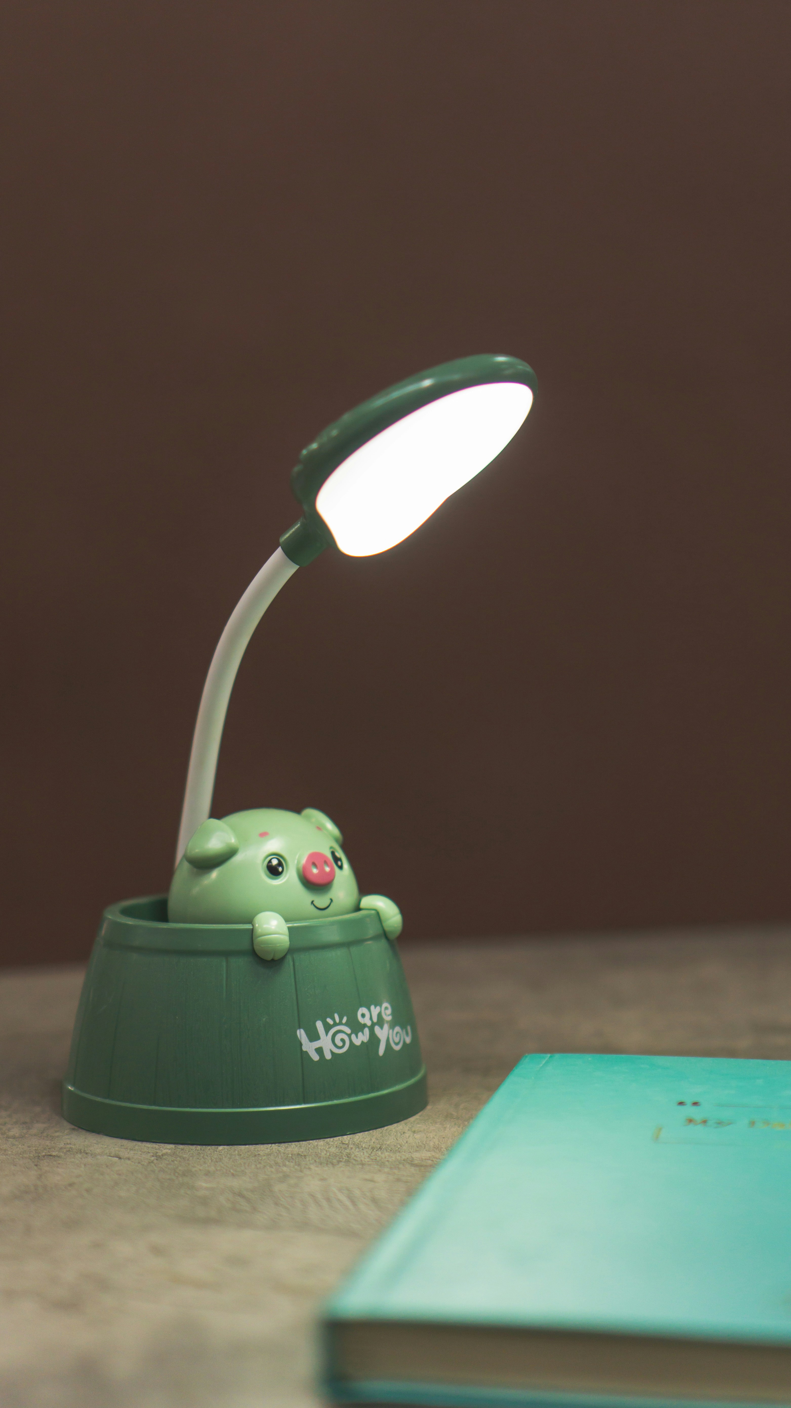 Piglet Lamp in Focus: A Quiet Desk Glow