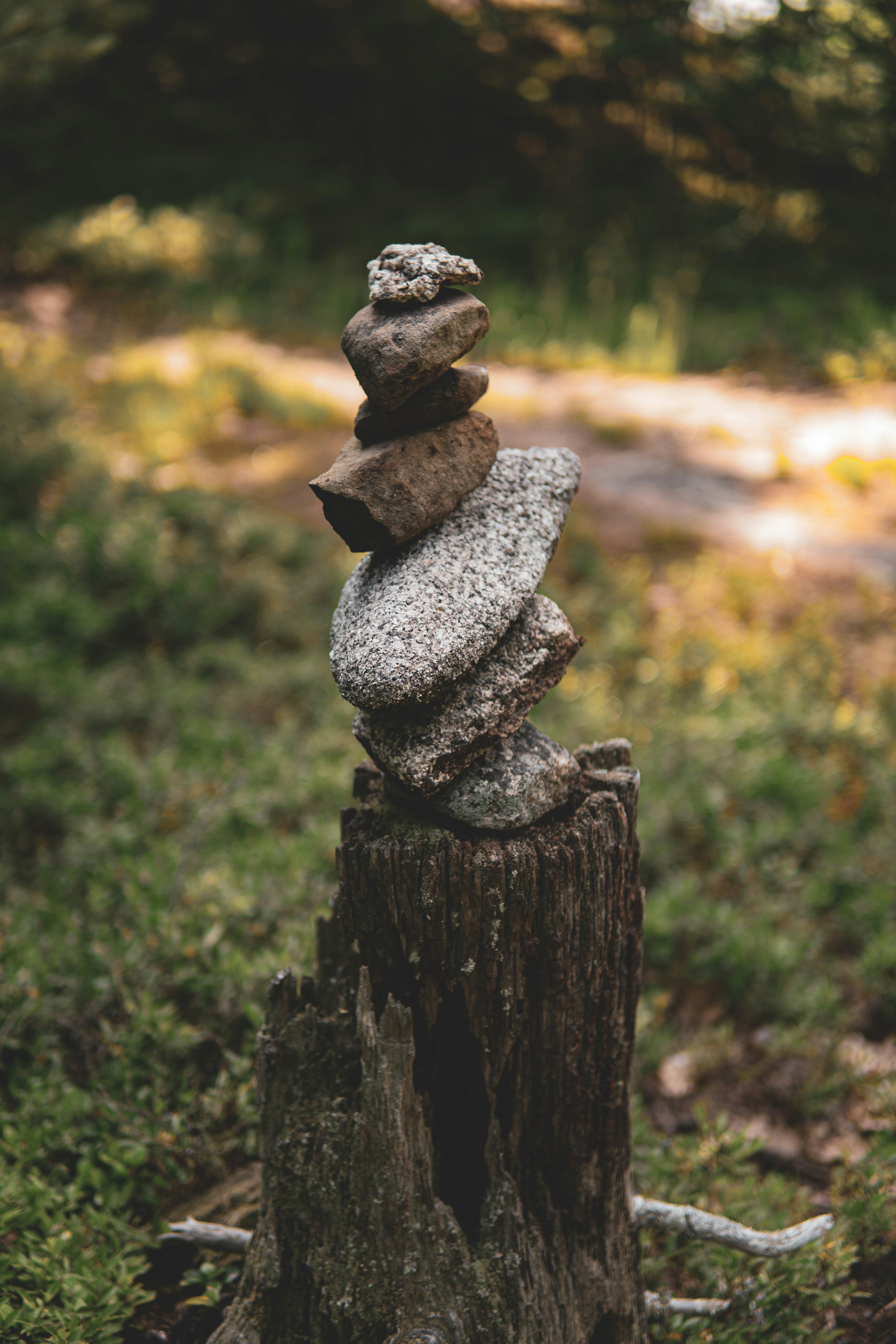 A pile of rocks sitting on top of a tree stump photo – Free Tree Image ...