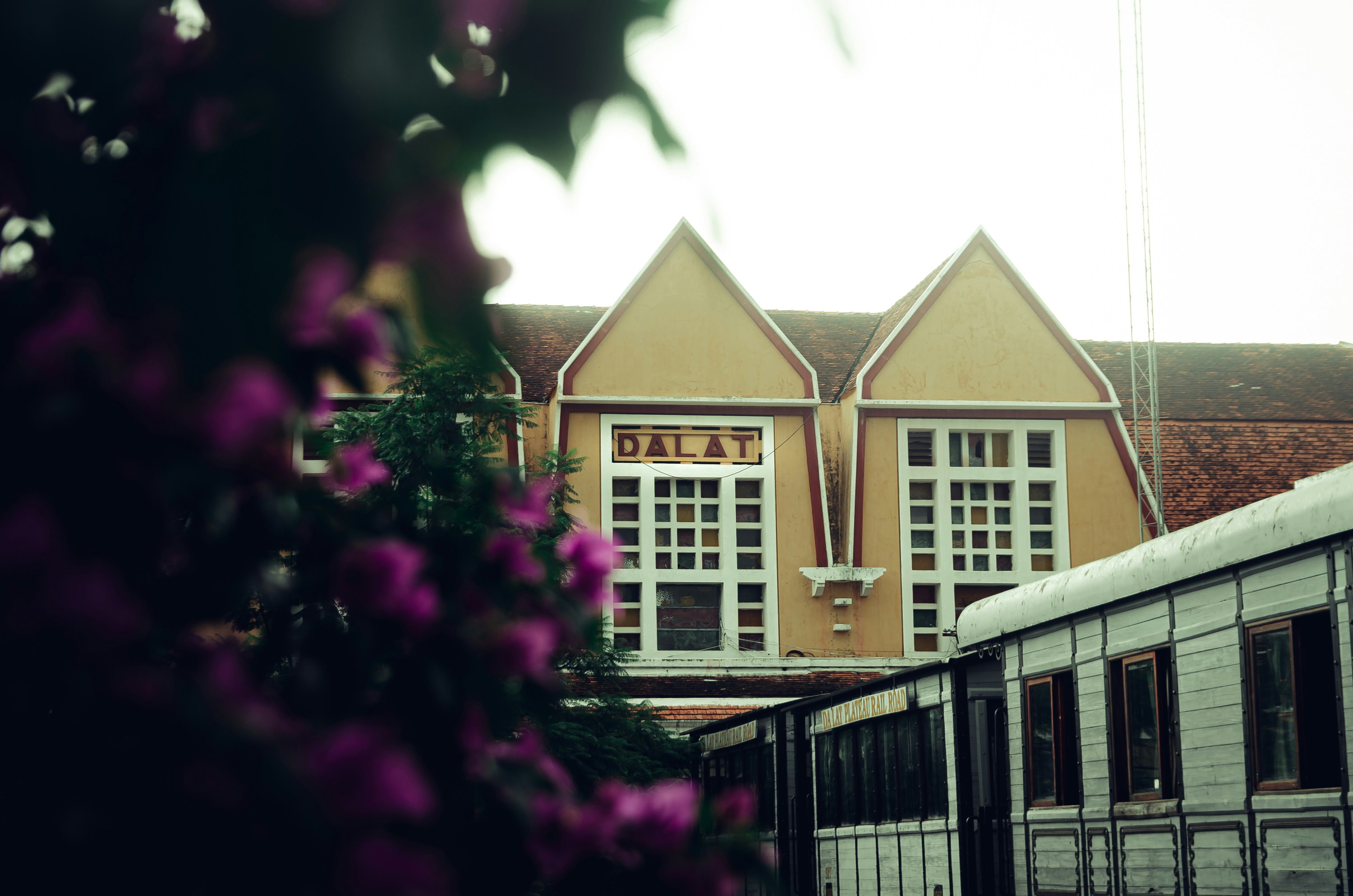 Dalat’s Facade: Triangular Rooflines Framed by Lavender-Blurred Foreground
