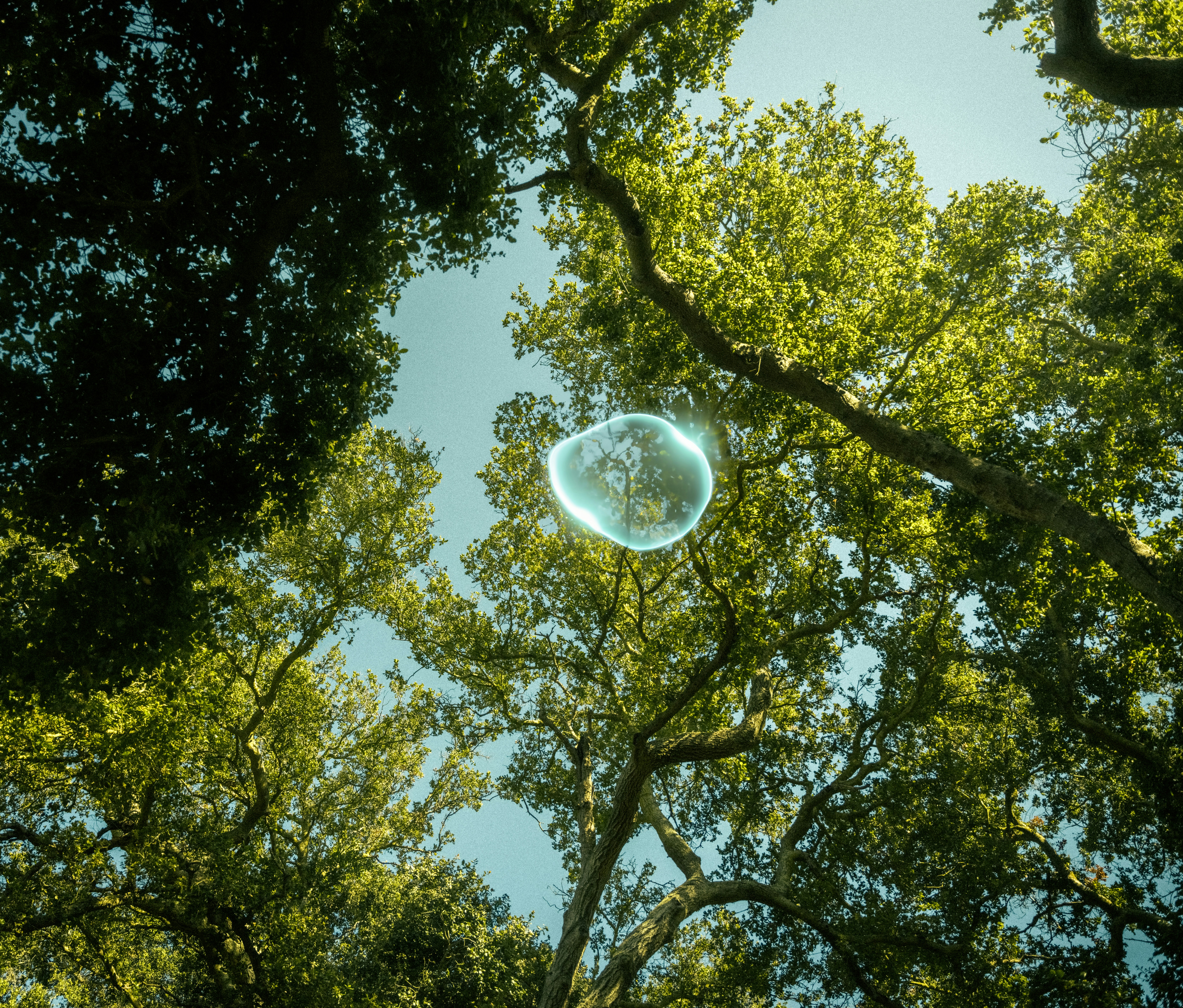 A bubble floating in the air between two trees photo – Free Nature ...