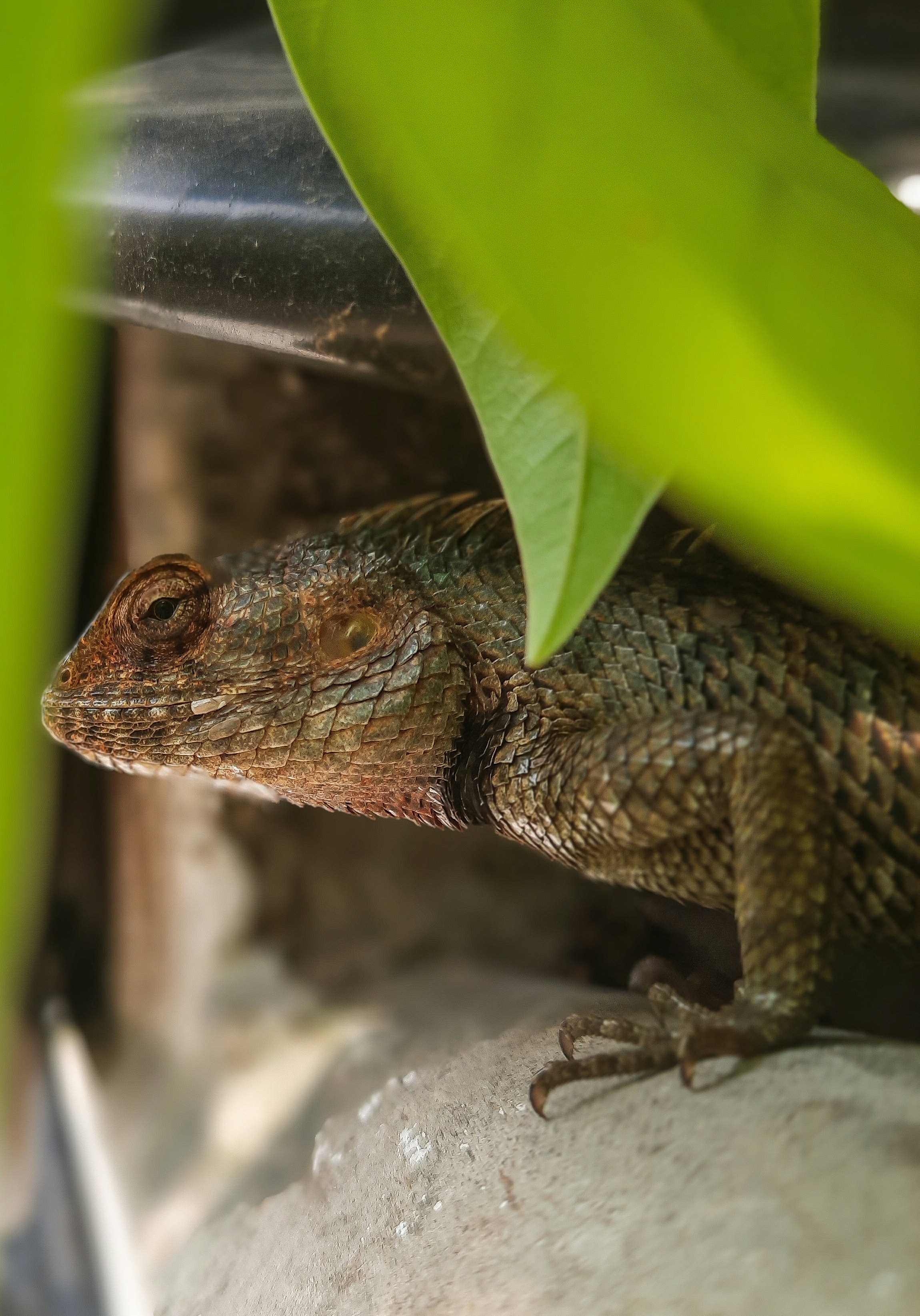 vardhan bala (@vardhan_bala) | Comunidade de fotos da Unsplash