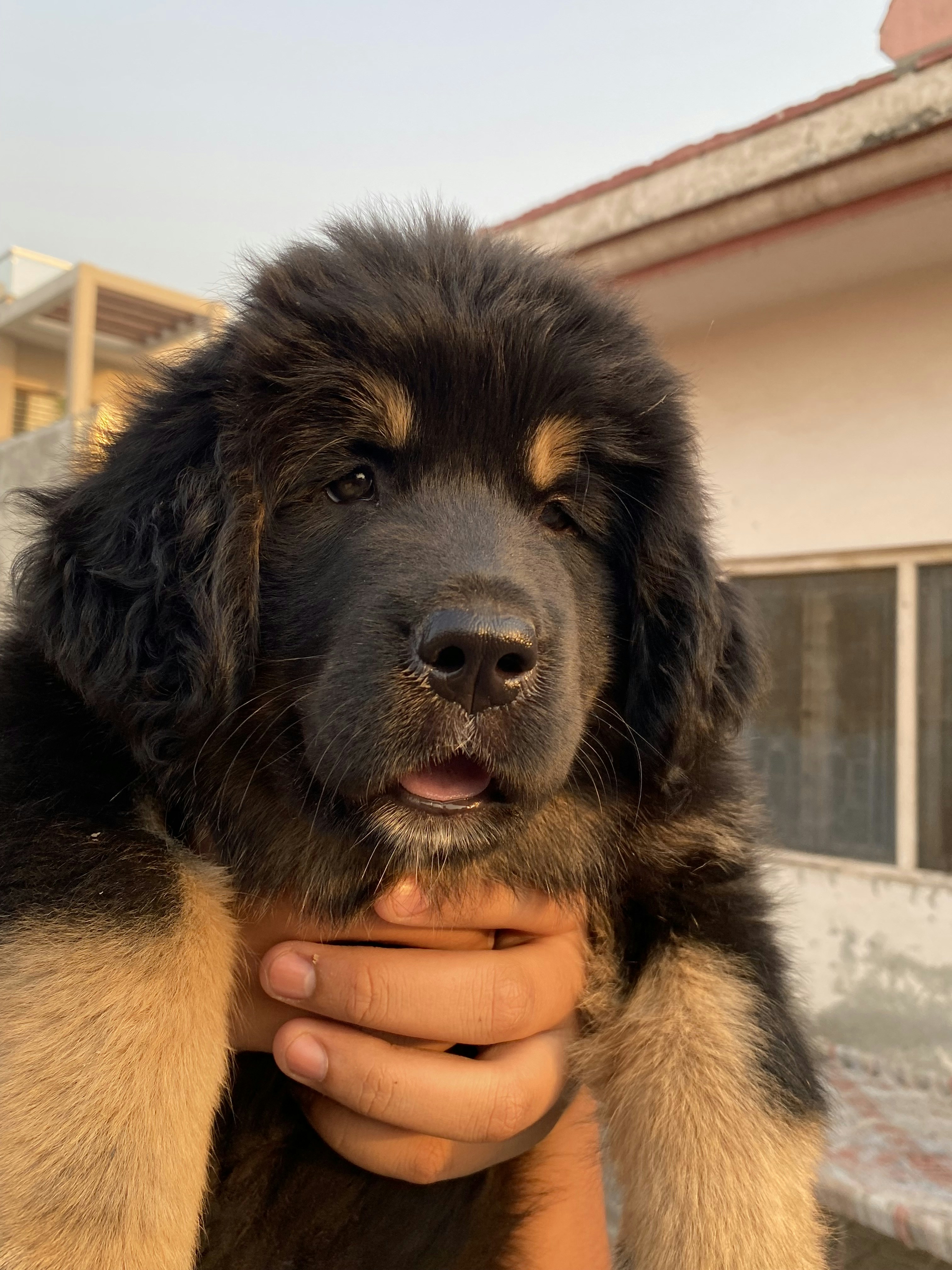 Devinder Veer Singh (@iamdavi) | Unsplash Photo Community