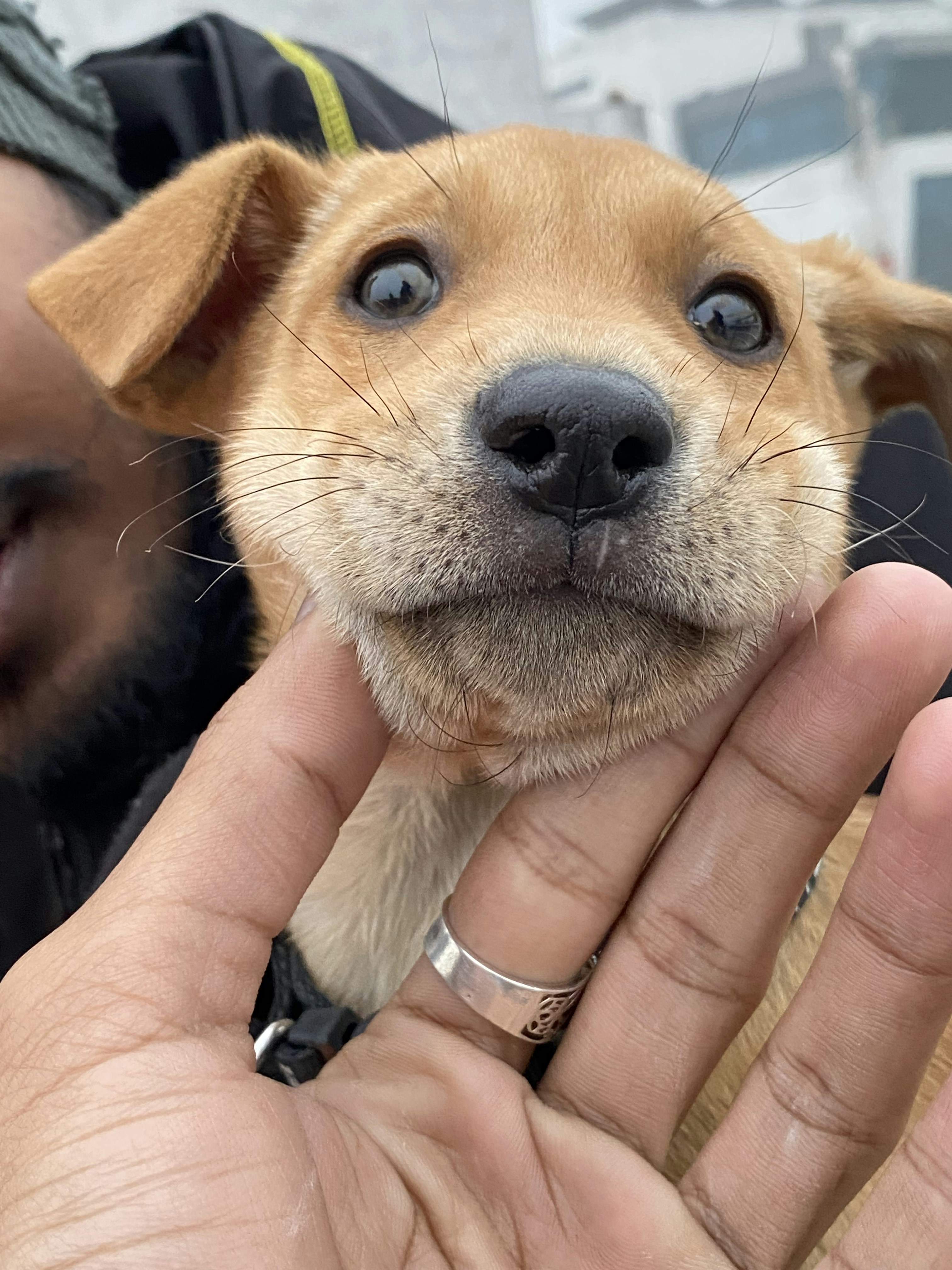 Devinder Veer Singh (@iamdavi) | Unsplash Photo Community