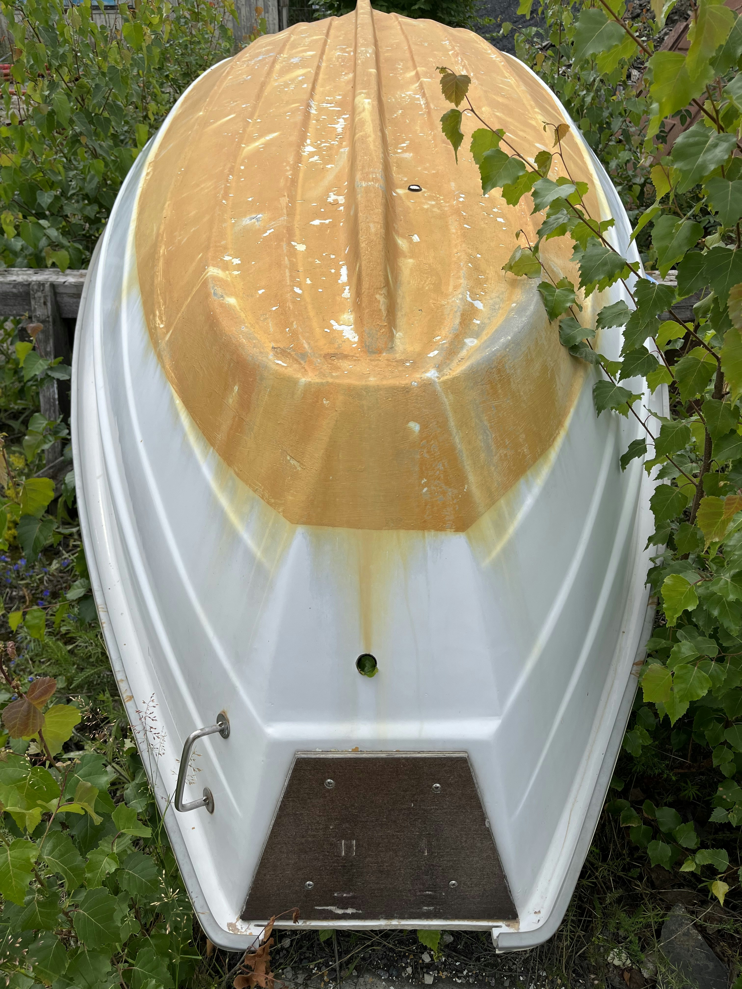 Patina in the Ivy: Weathered Boat Hull Resting Among Climbing Greenery