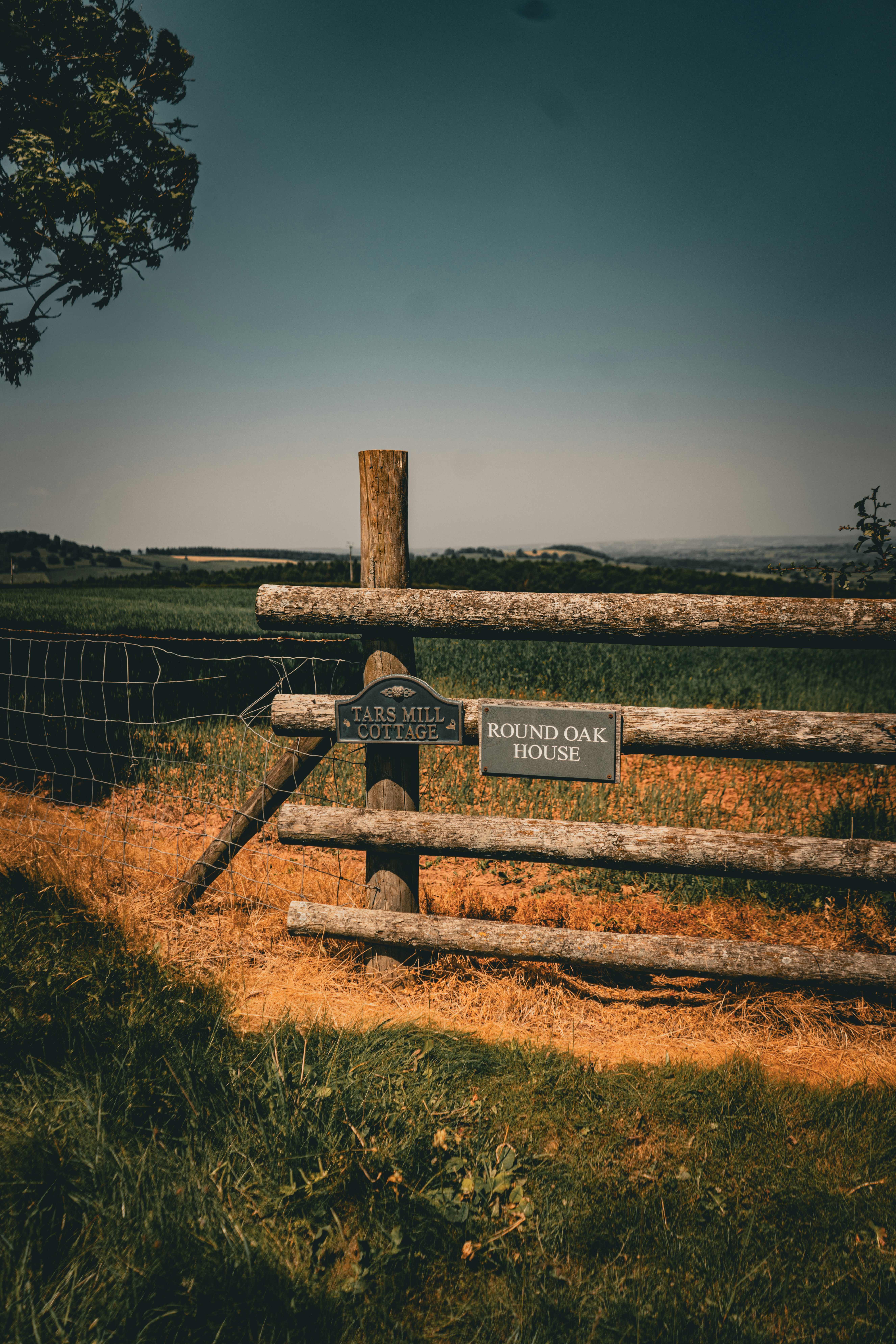 Dusk Gate: Weathered Wood and Dual Signposts Framing a Quiet Meadow
