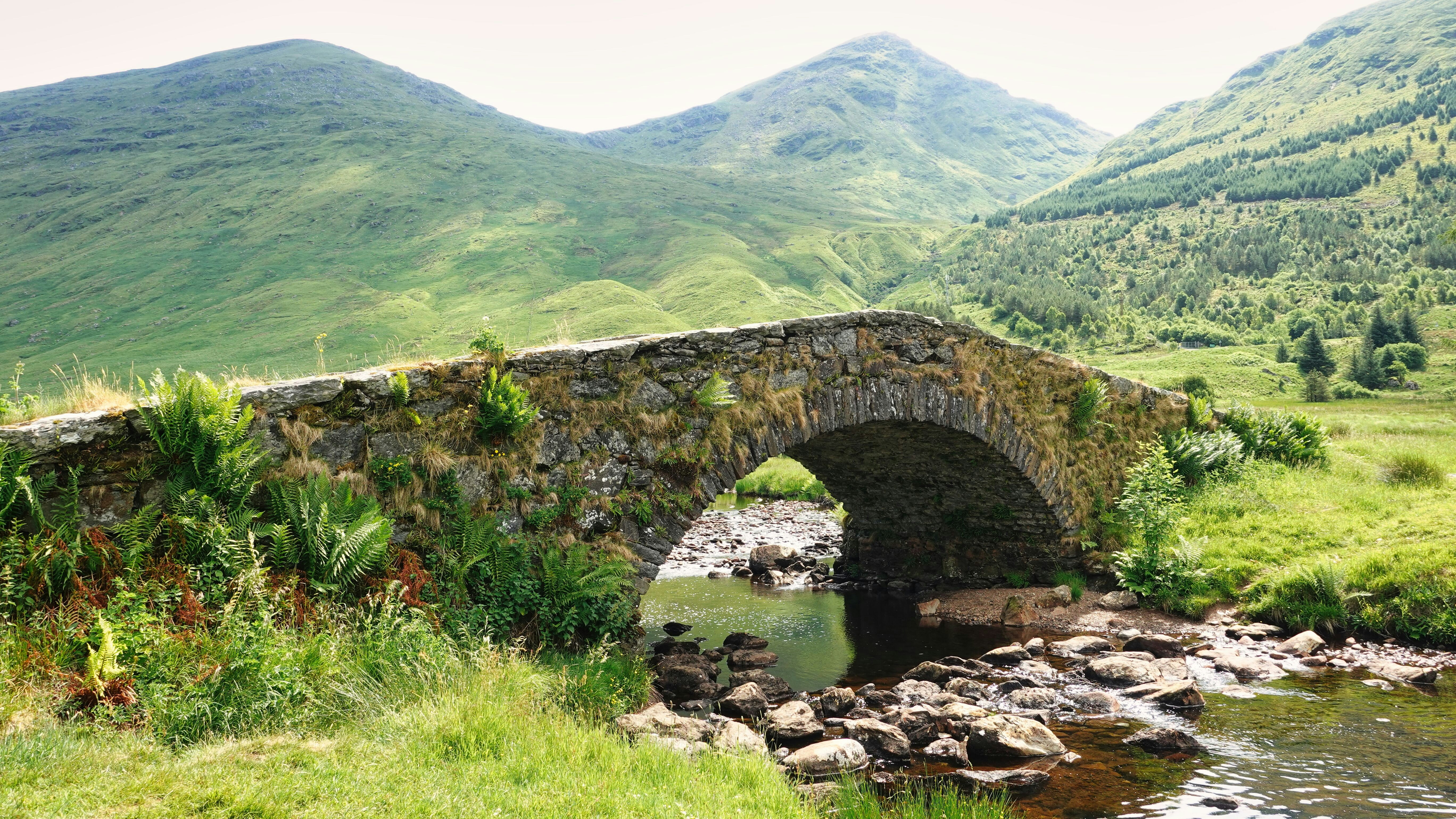 Photo by Winged Jedi with Sony ZV-1