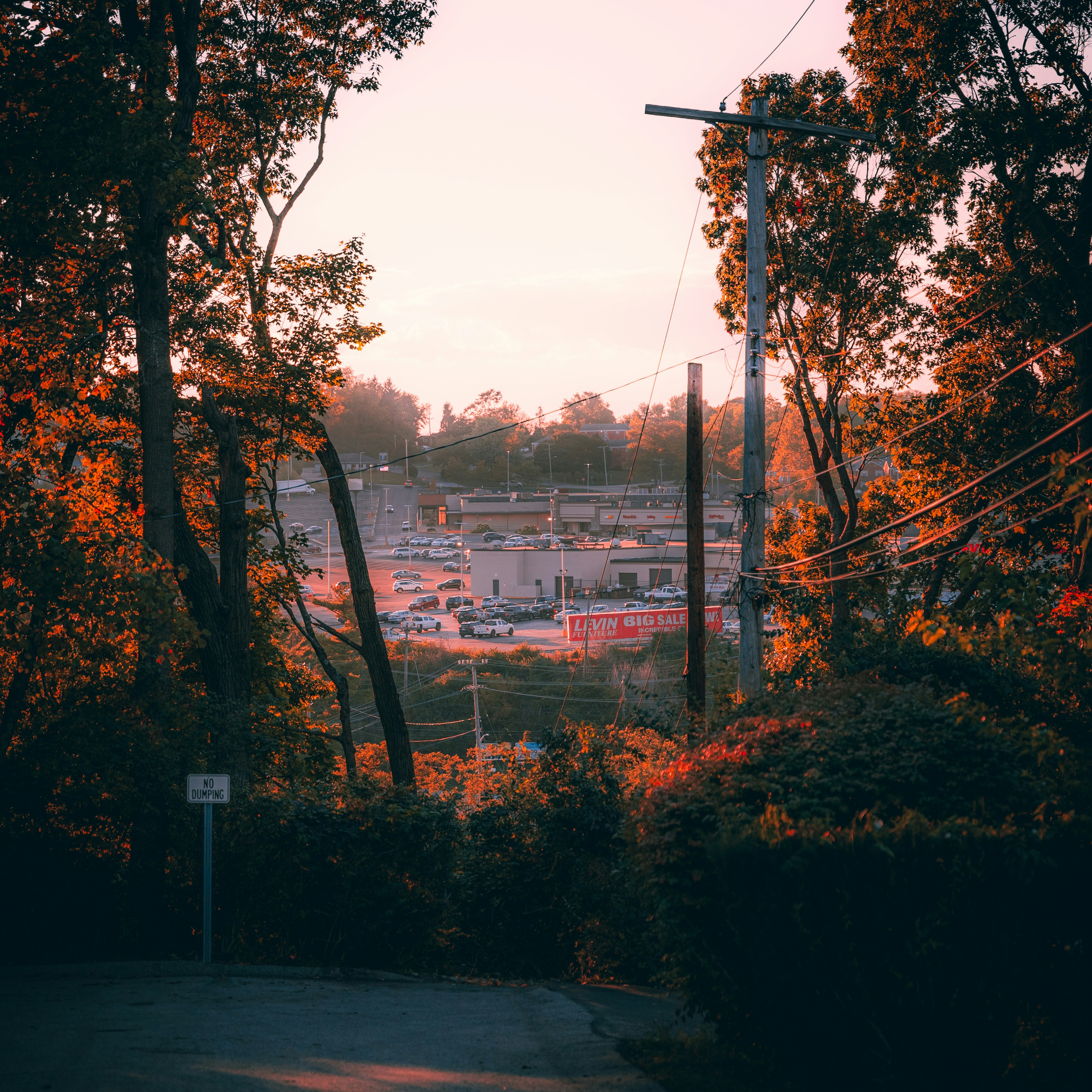 Amber Dusk Threads Through Trees to a Distant Shopping Plaza