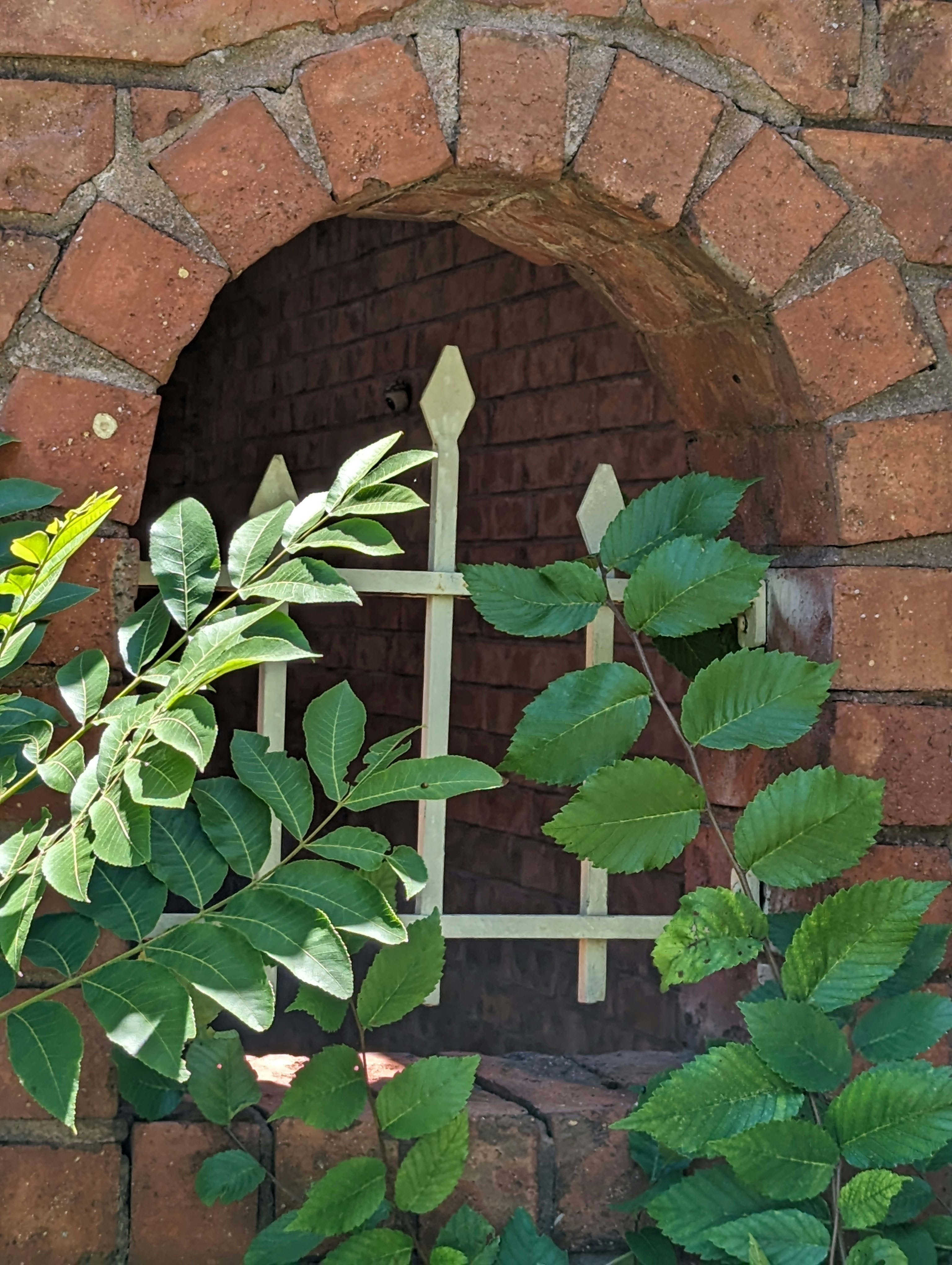 Photo by Shelley Johnson with Google Pixel 7