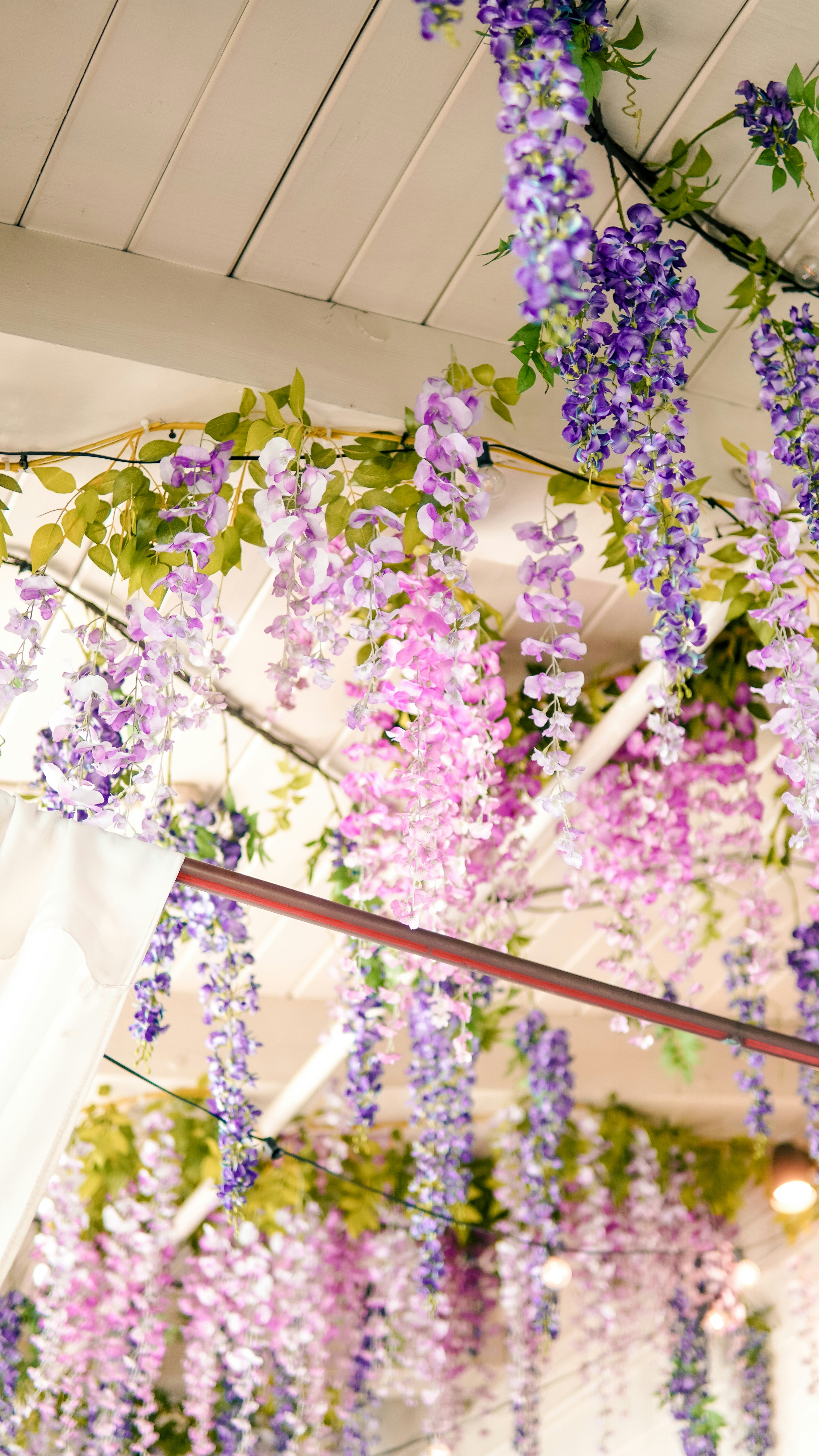 Lavender Cascade Ceiling: A Floral Arc in a Sunlit Atrium