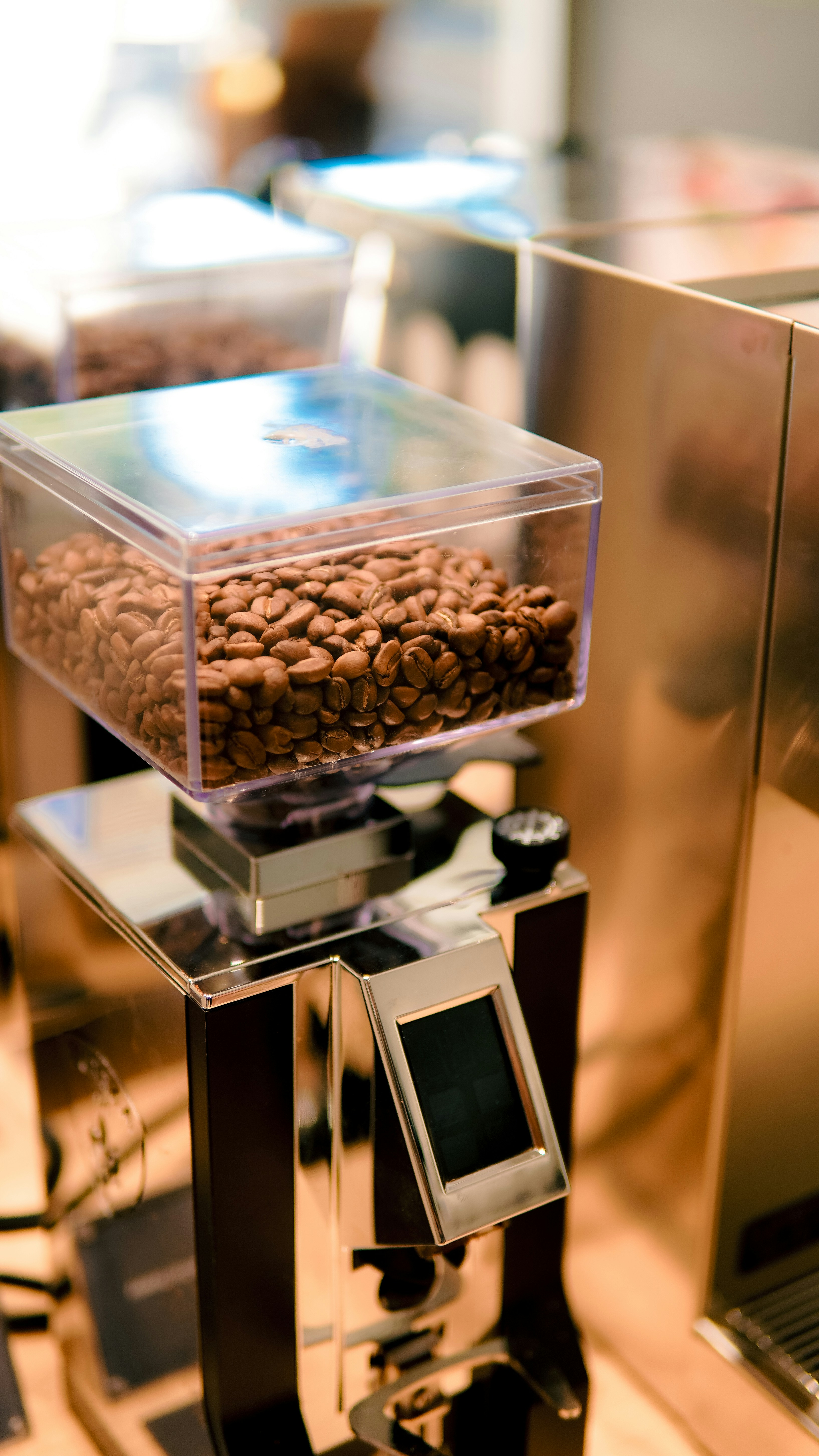 Clear Hopper, Roasted Rhythm: A Close-Up of a Cafe Grinder Brimming with Beans
