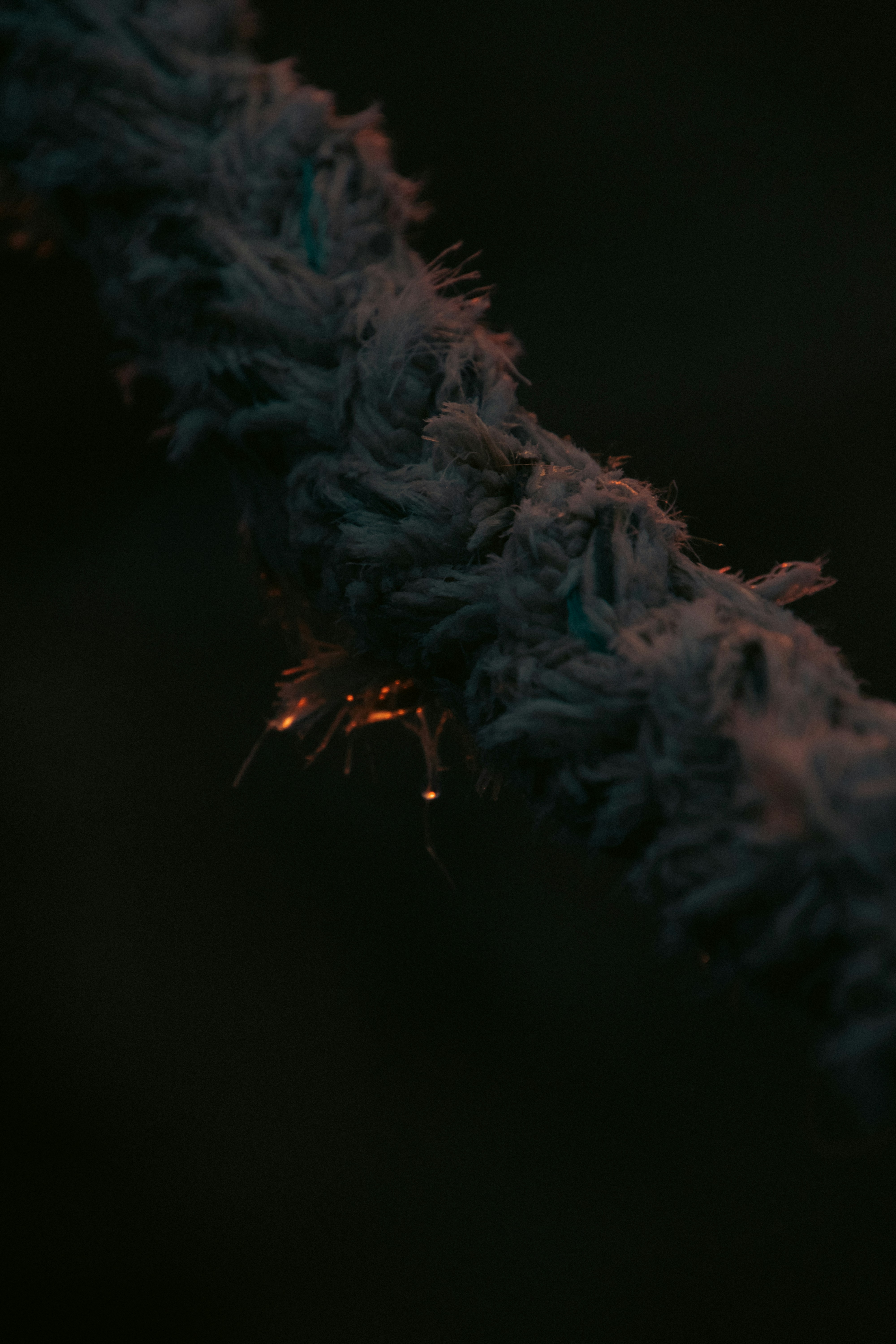Ember-Touched Frost on a Moonlit Branch