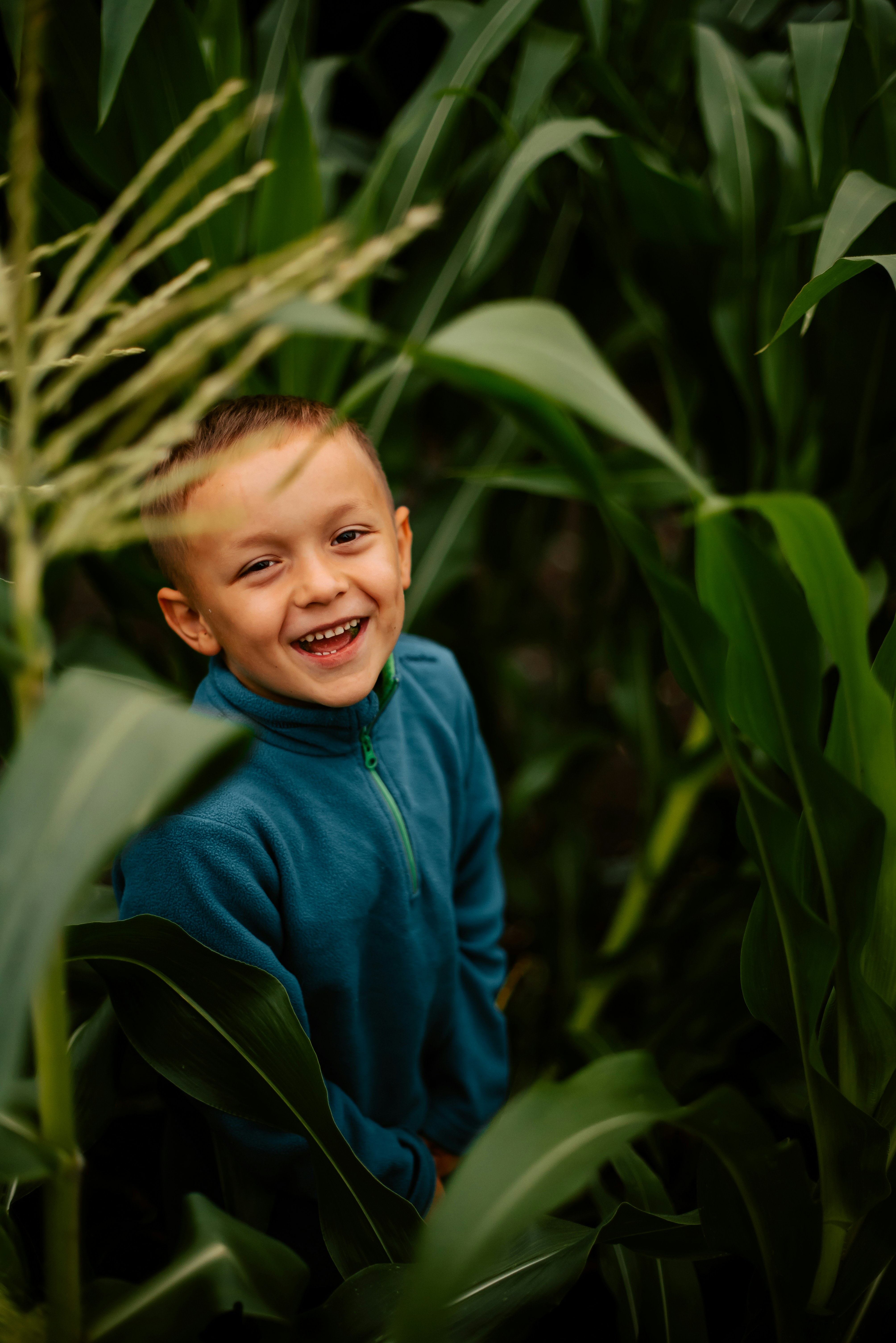 Joy in the Cornfield: A candid portrait of a boy among tall leaves