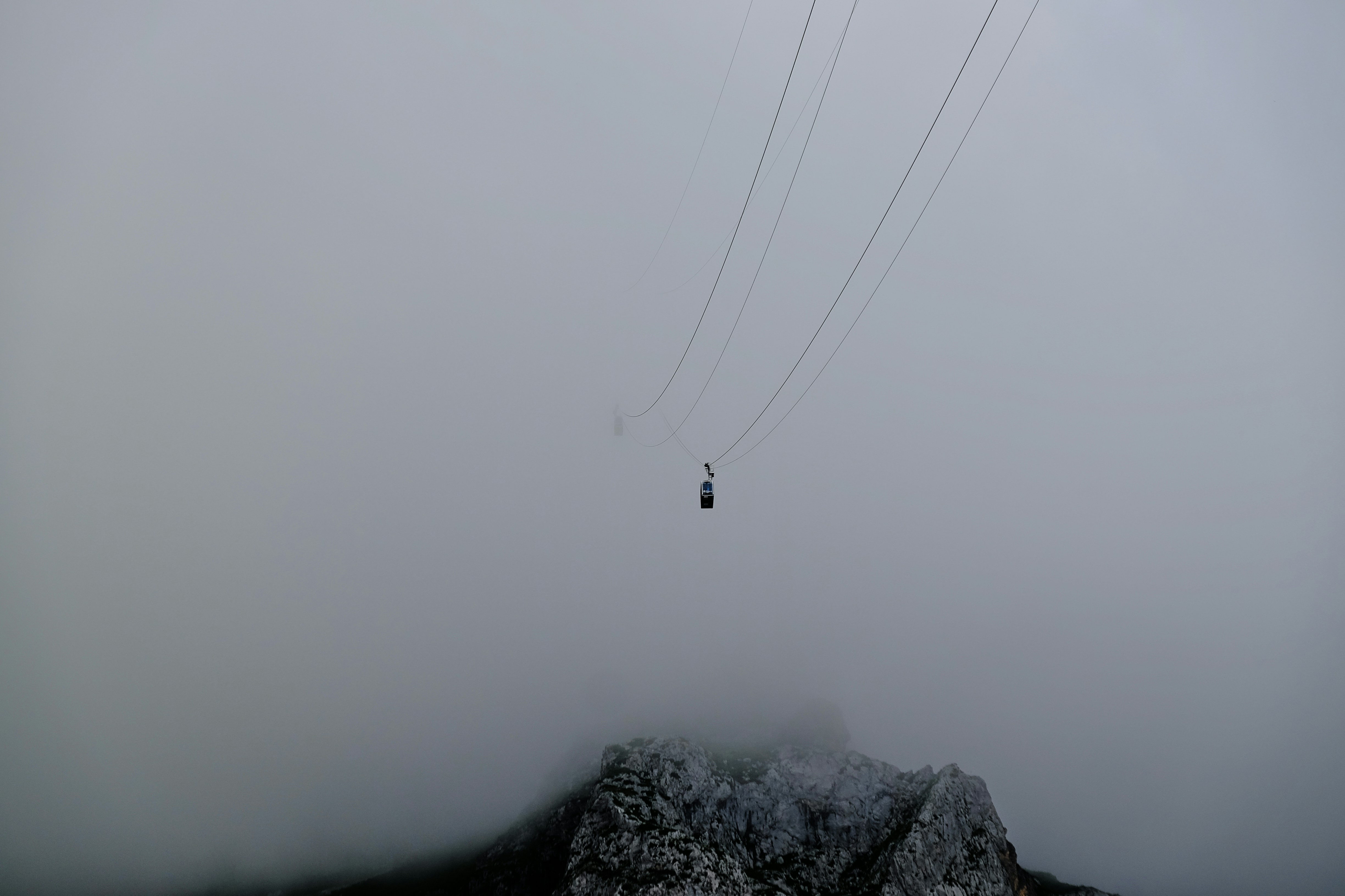 High Point Zip Adventure (2025) – Best of TikTok, Instagram & Reddit ...
