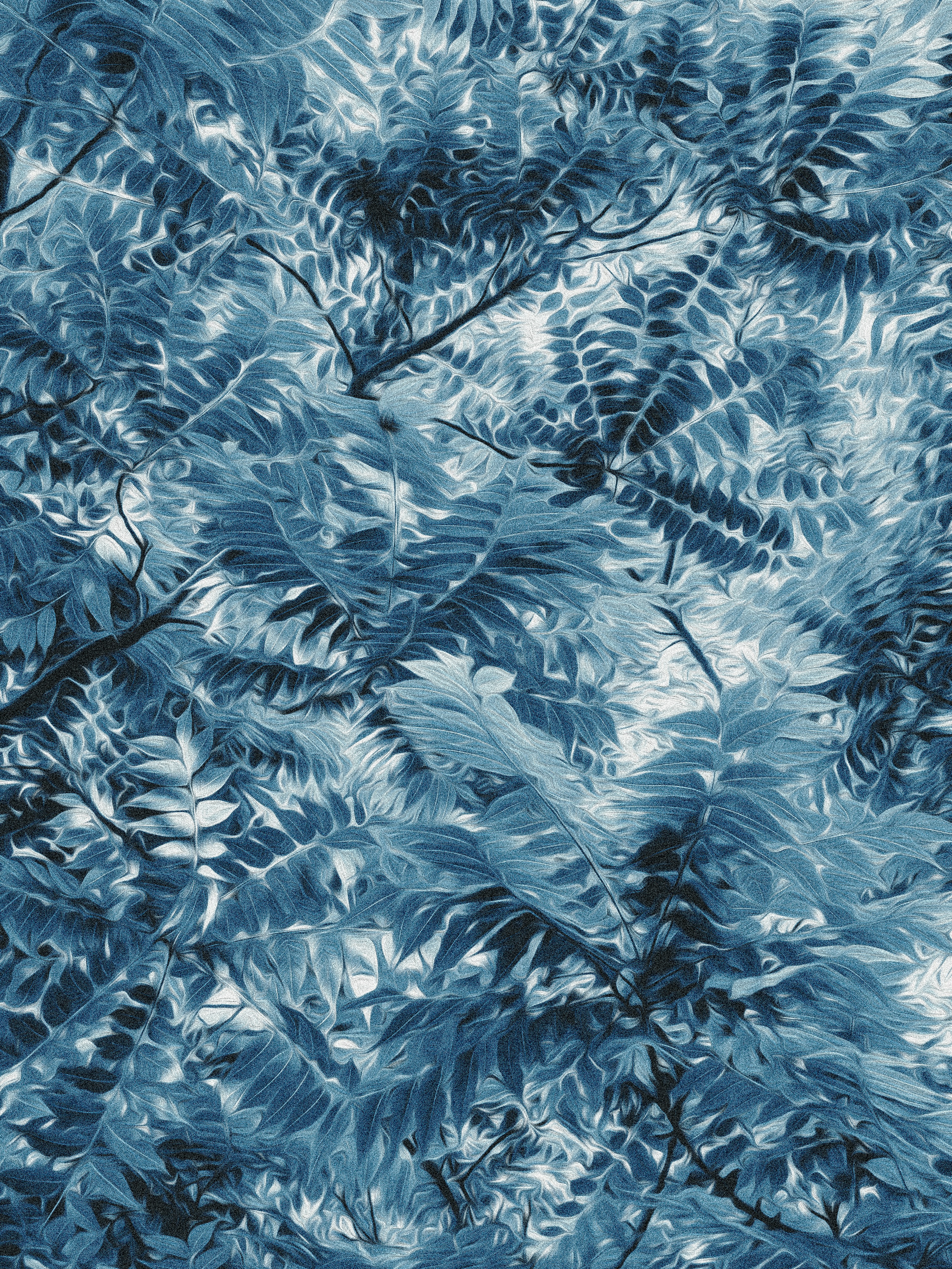 A picture of a tree with blue leaves photo – Free Texture Image on Unsplash