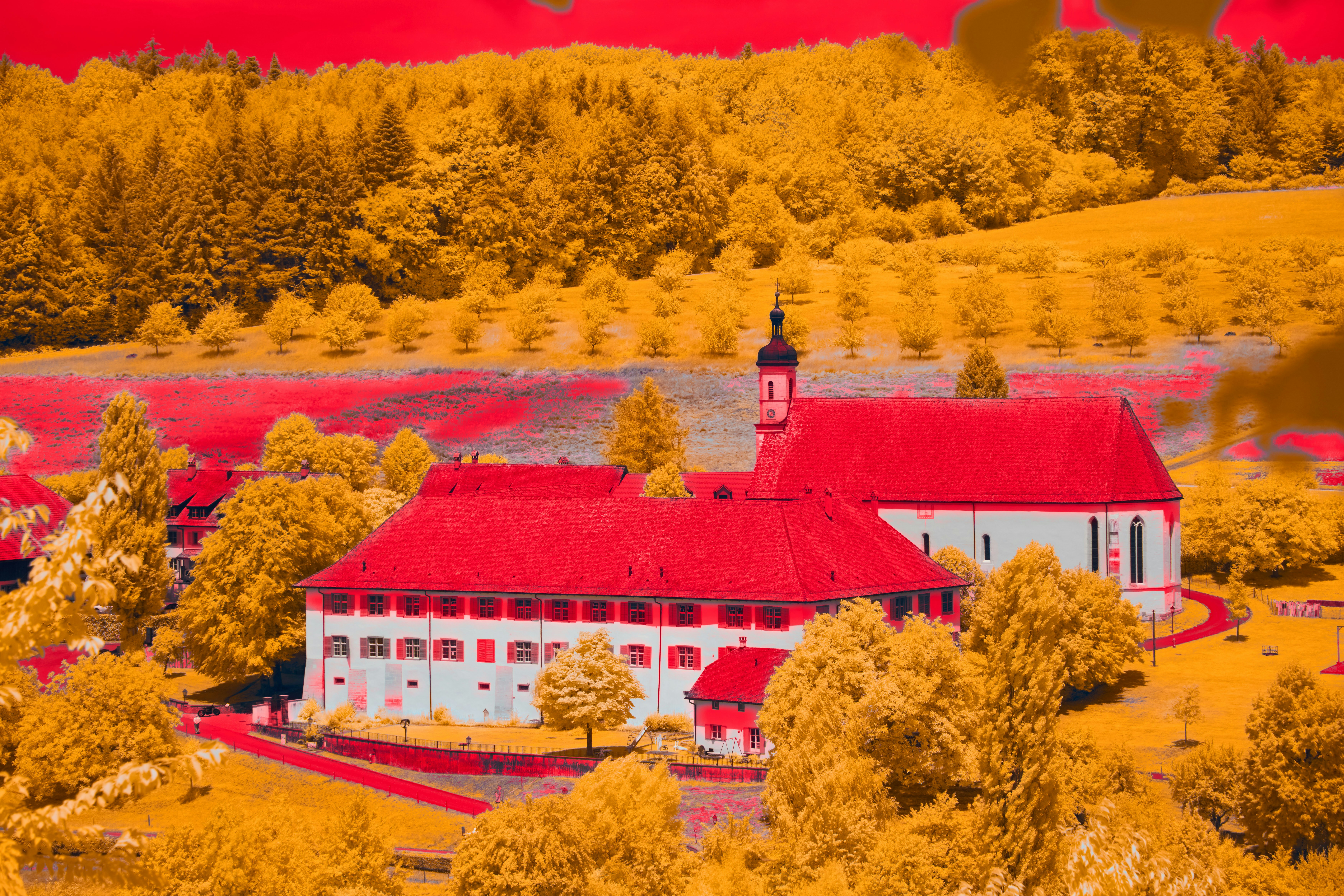 Photo by Wolfgang Hasselmann with Sony Alpha 7 IV