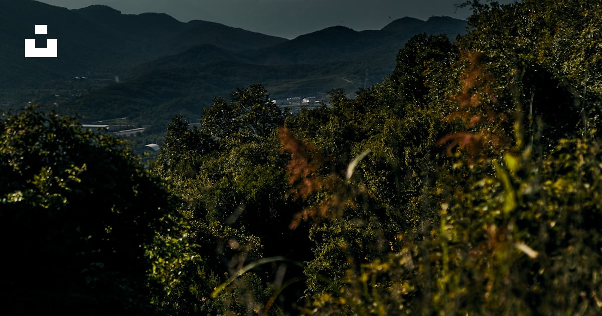 멀리서 본 산맥의 모습 사진 Unsplash의 무료 부드바 이미지