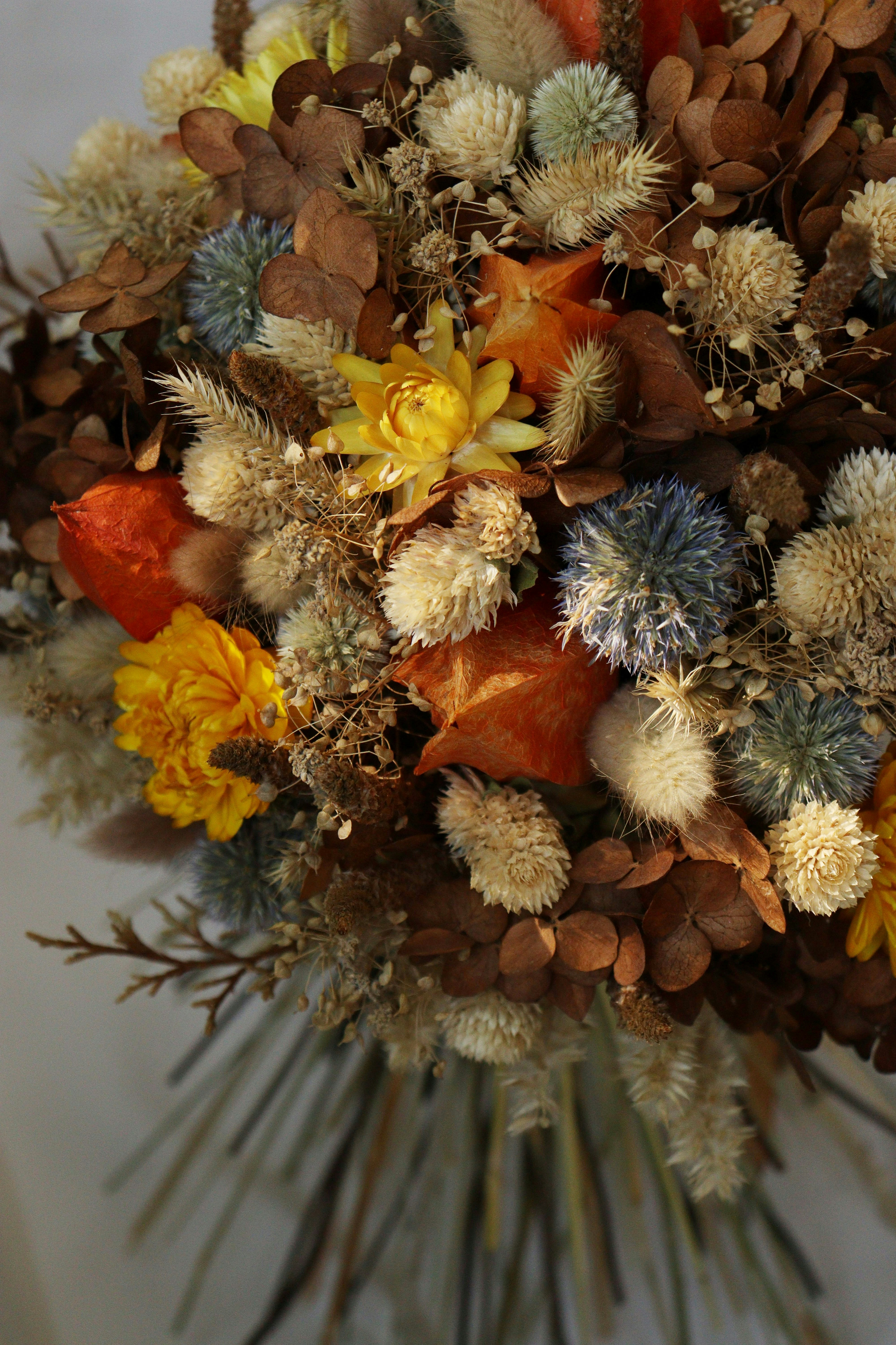 Photo by Frida Flowers Xtradry with Canon EOS 250D