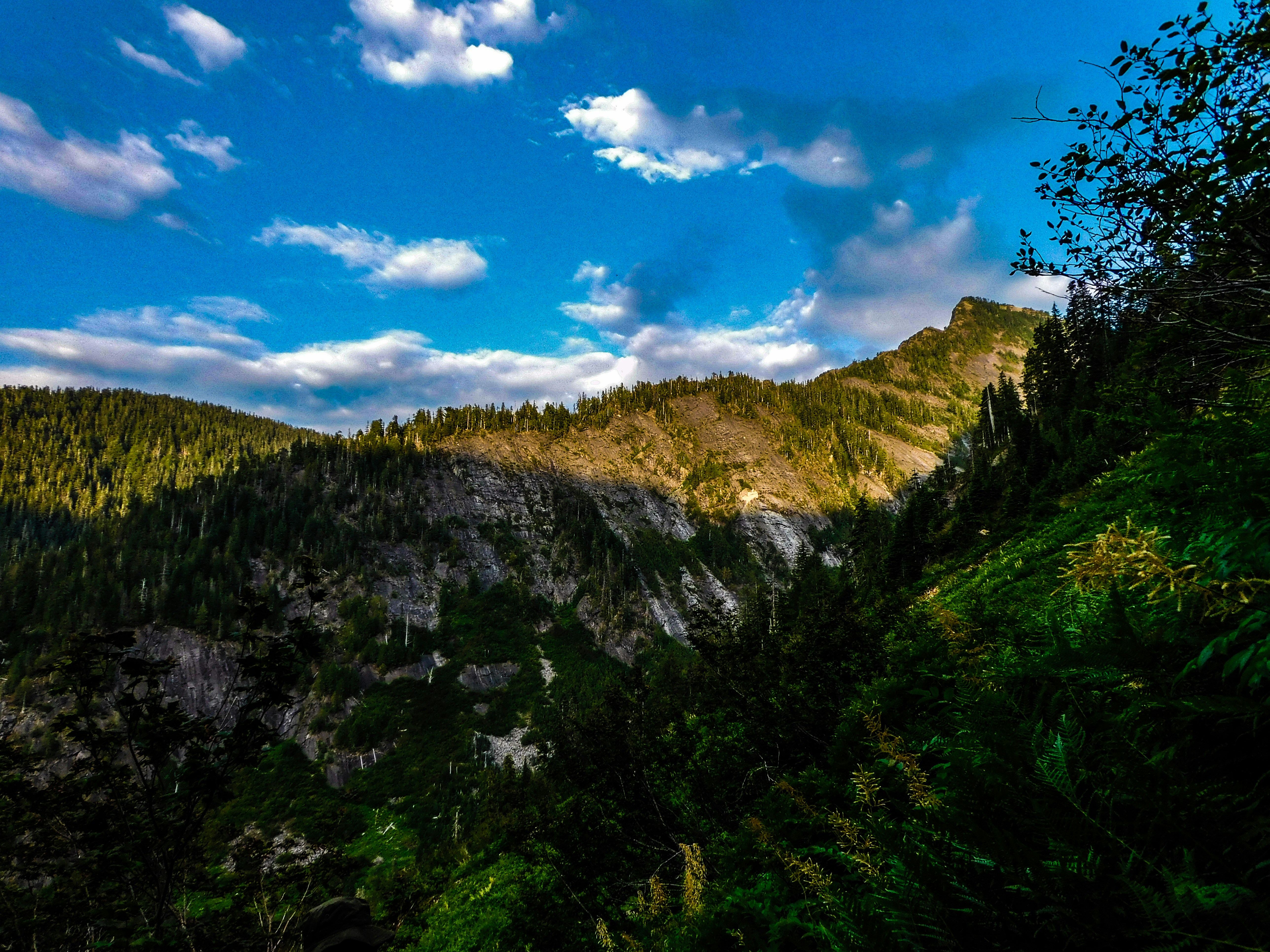 Sunlit Crest Over a Forested Canyon Under a Cerulean Sky