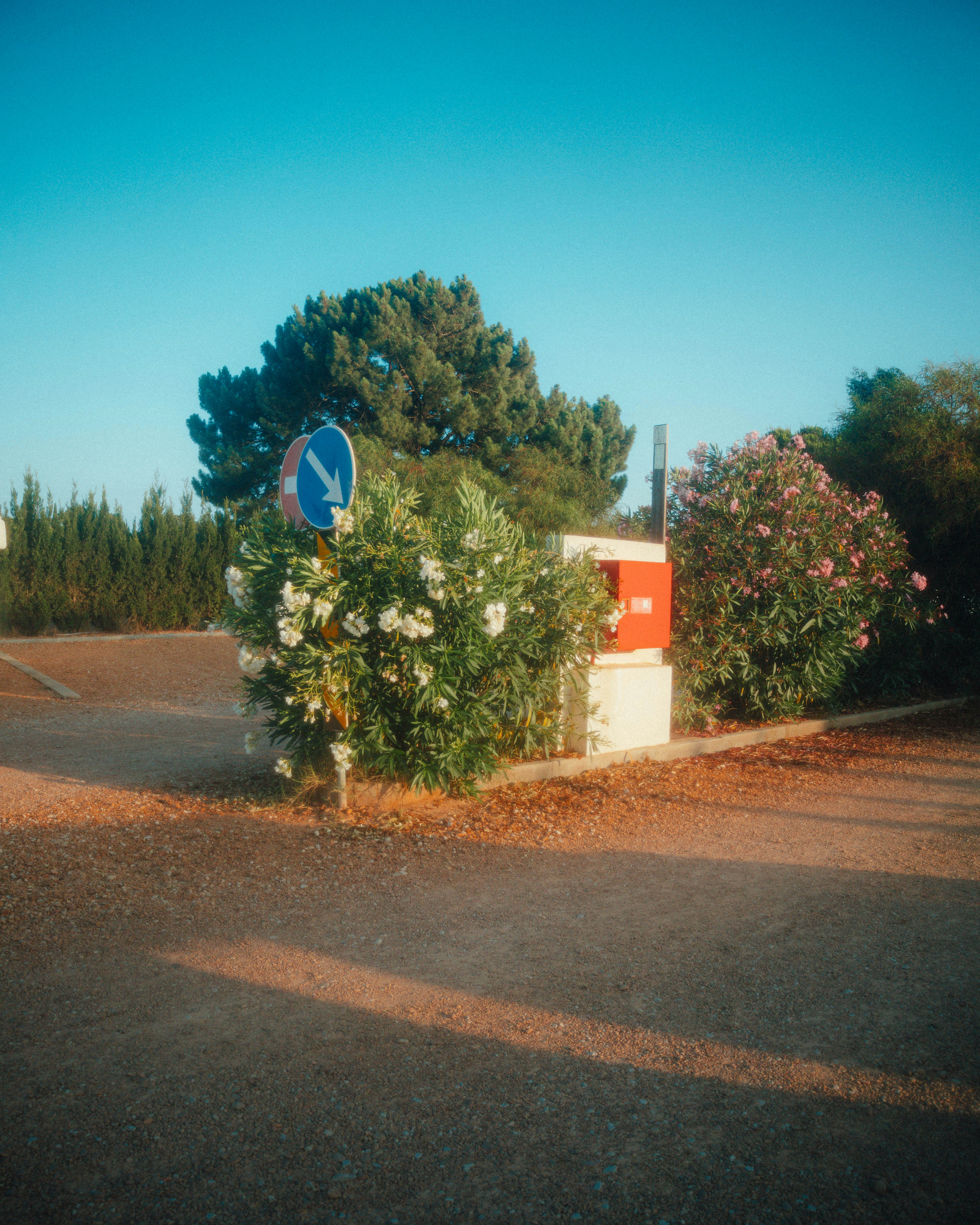 Photo by Mariana Brás with Canon EOS RP