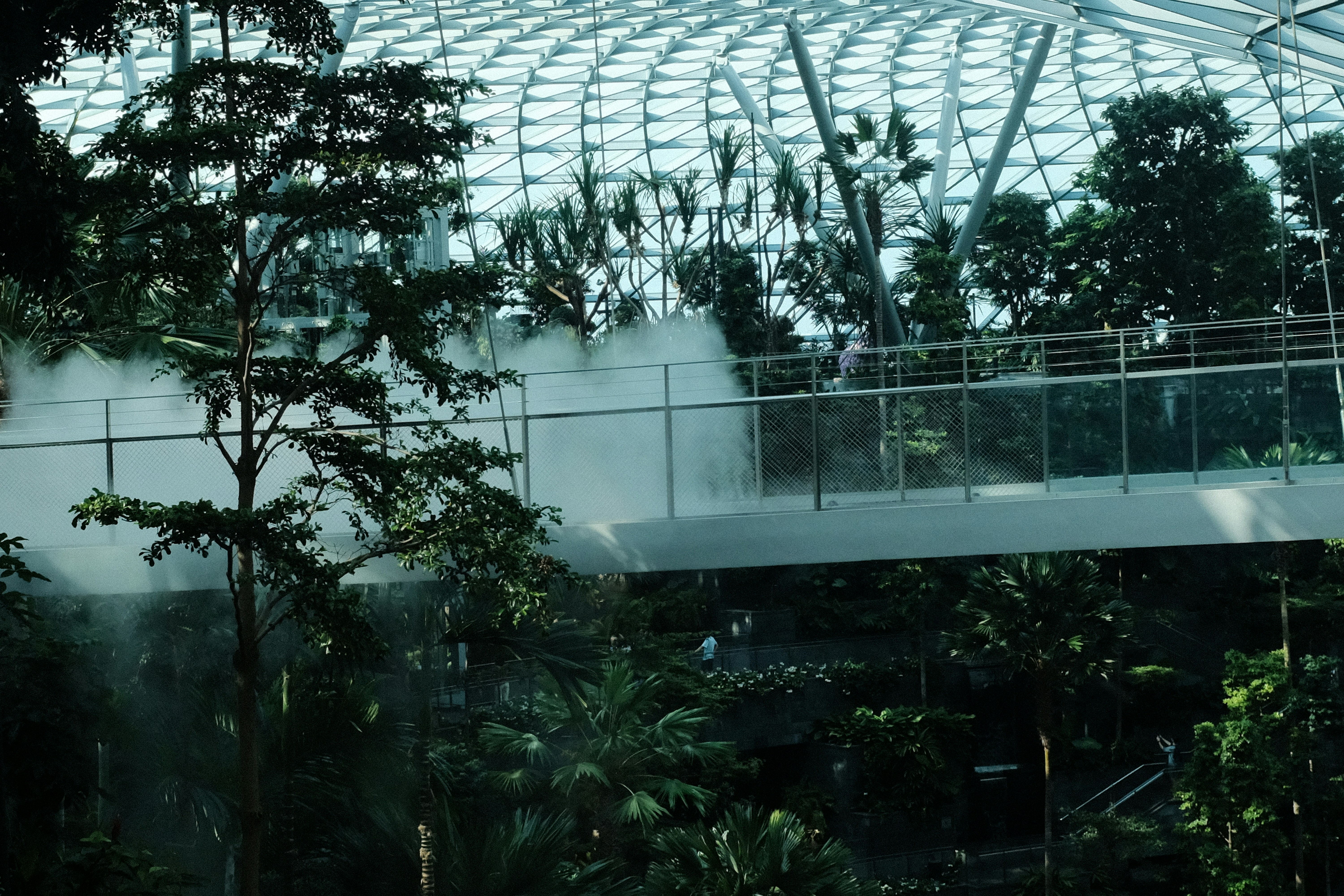 Photo by Danish Prakash with Fujifilm X100F