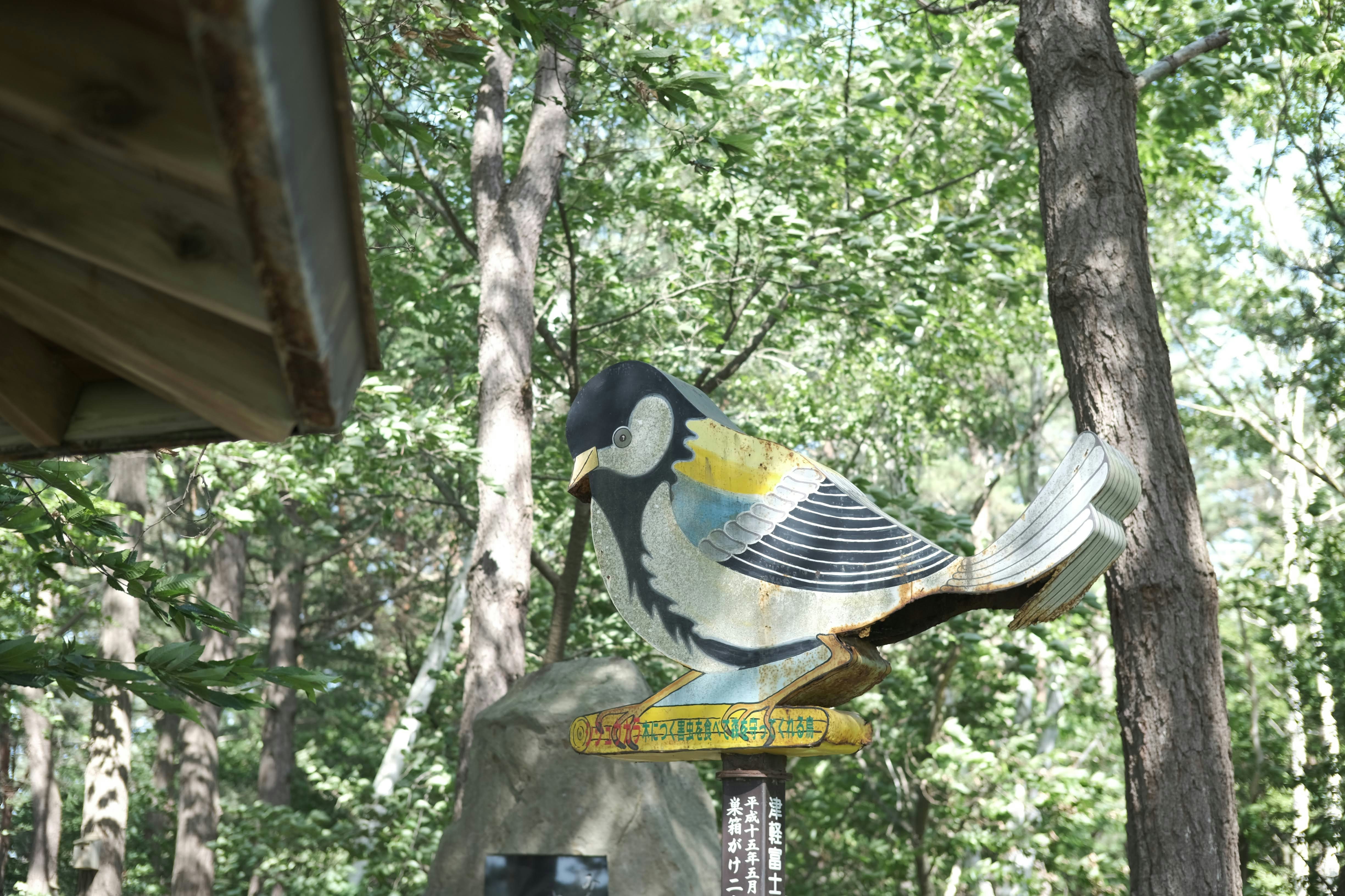 Forest Sentinel: A Painted Blue Tit Perched on a Sign in Sunlit Pines