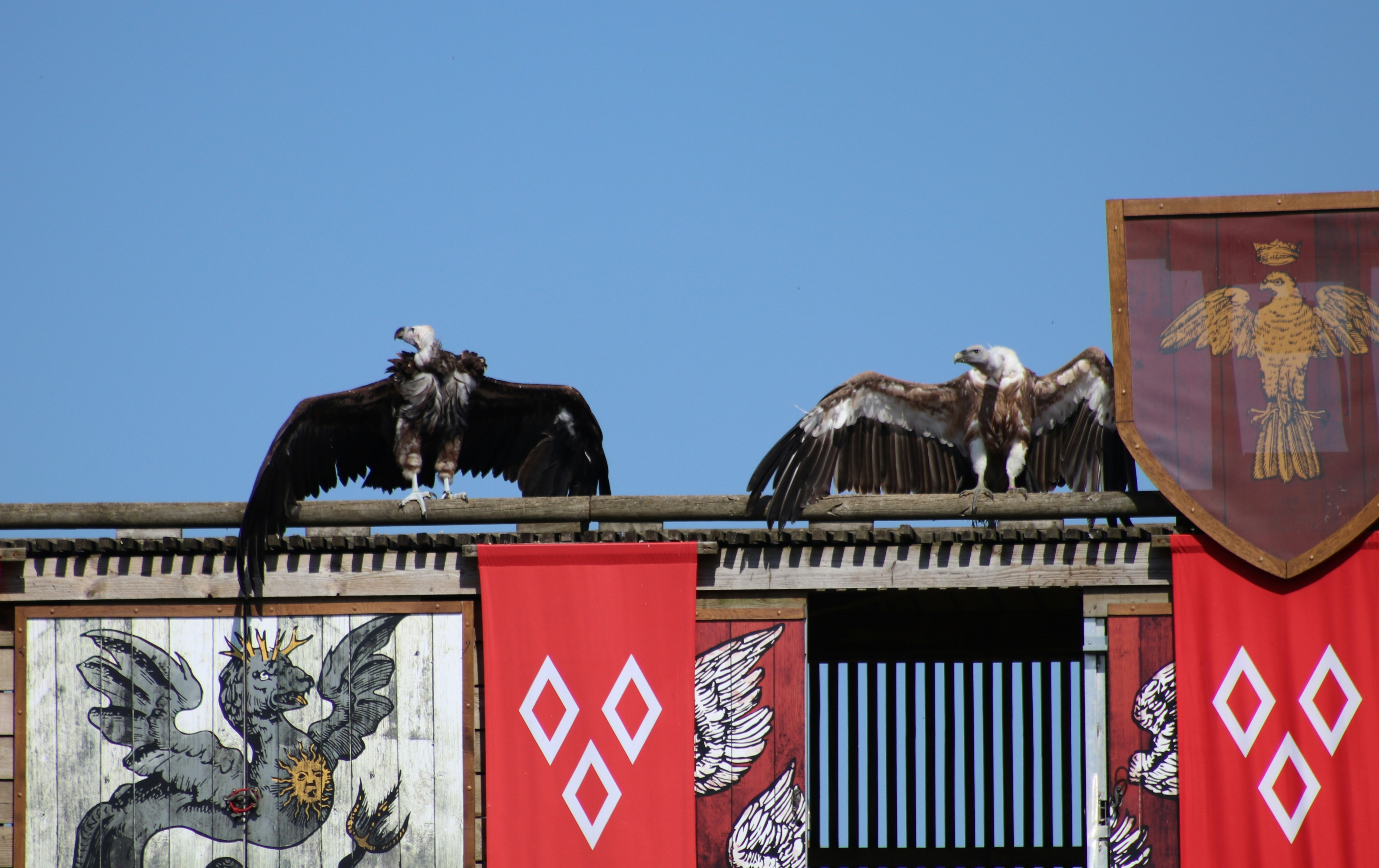 Eagle Sentinels Over a Bannered Crest