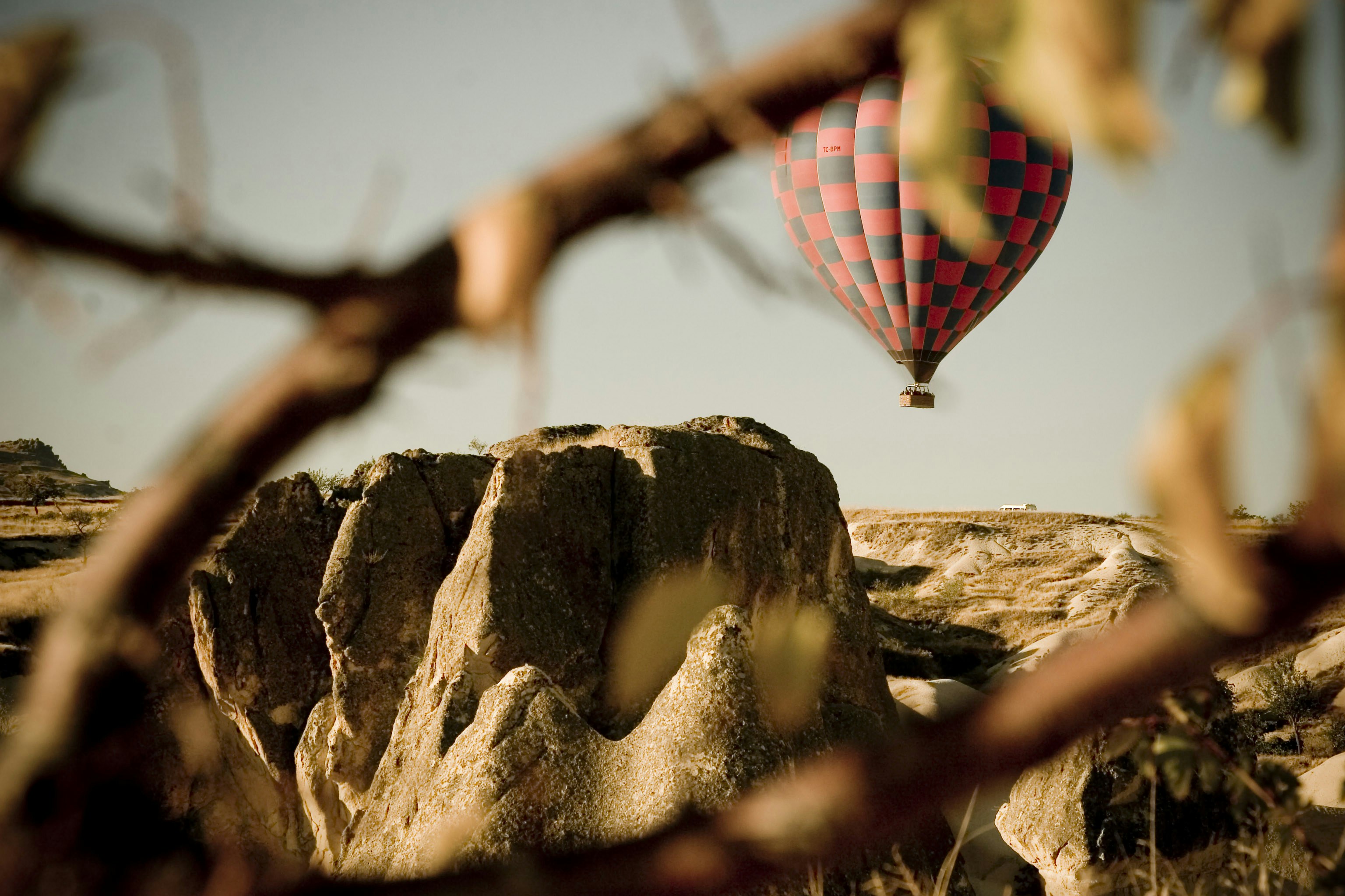 Hot air balloon with red-and-black checker pattern rises behind weathered rock formations, framed by foreground branches.