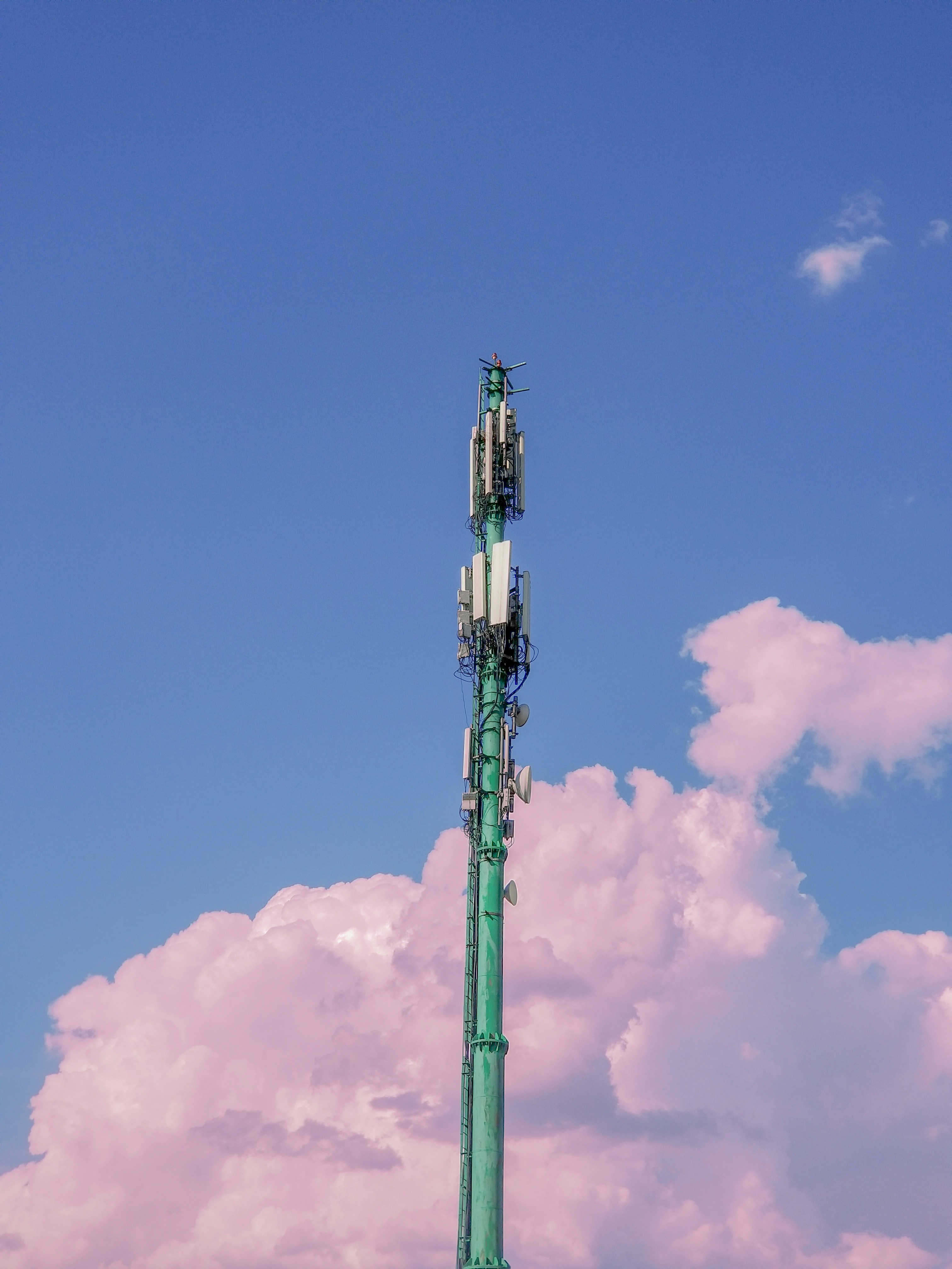 twix (@ilovetwix) | Unsplash Photo Community