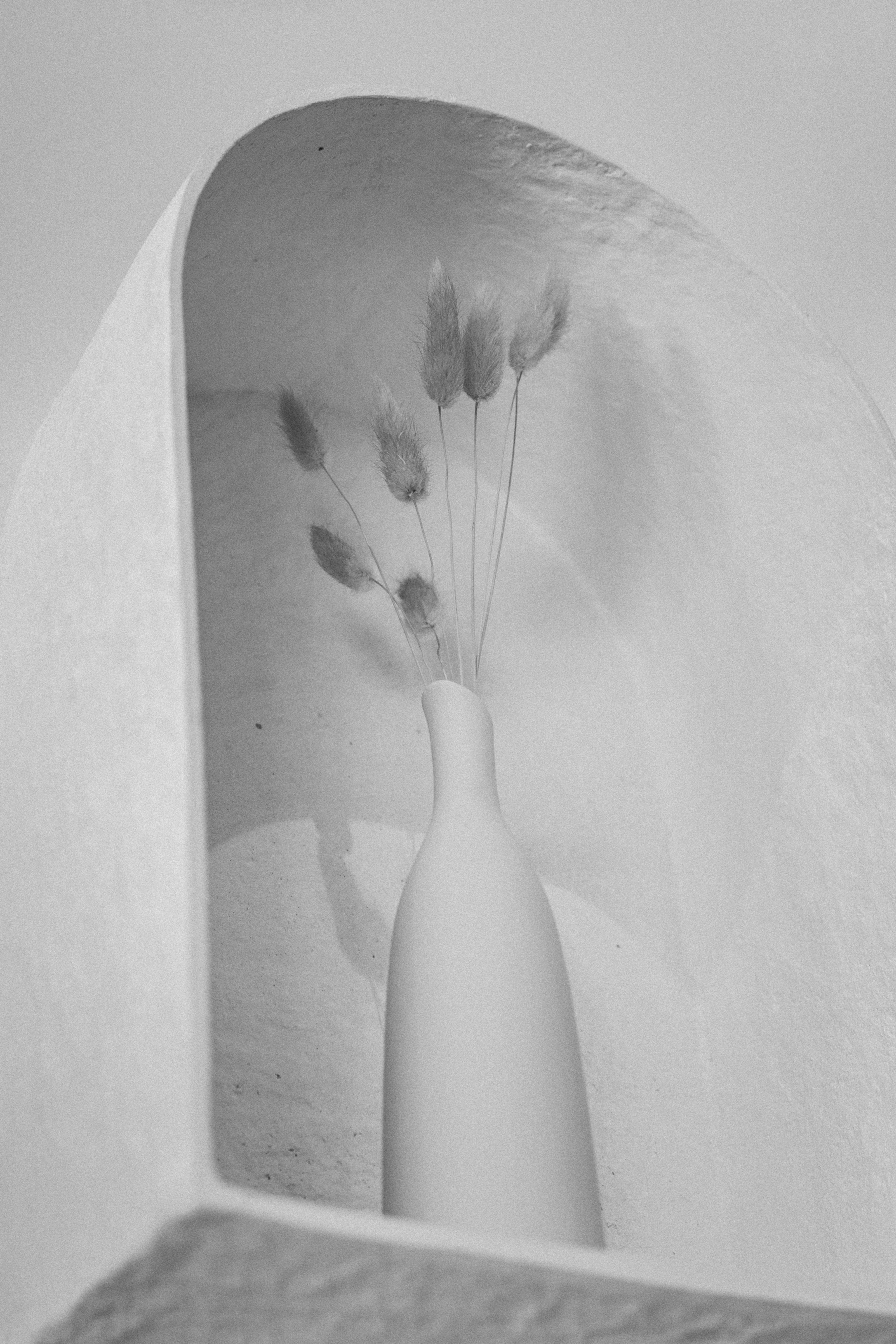 Minimal Vase and Seed Heads in Soft Arc of Light