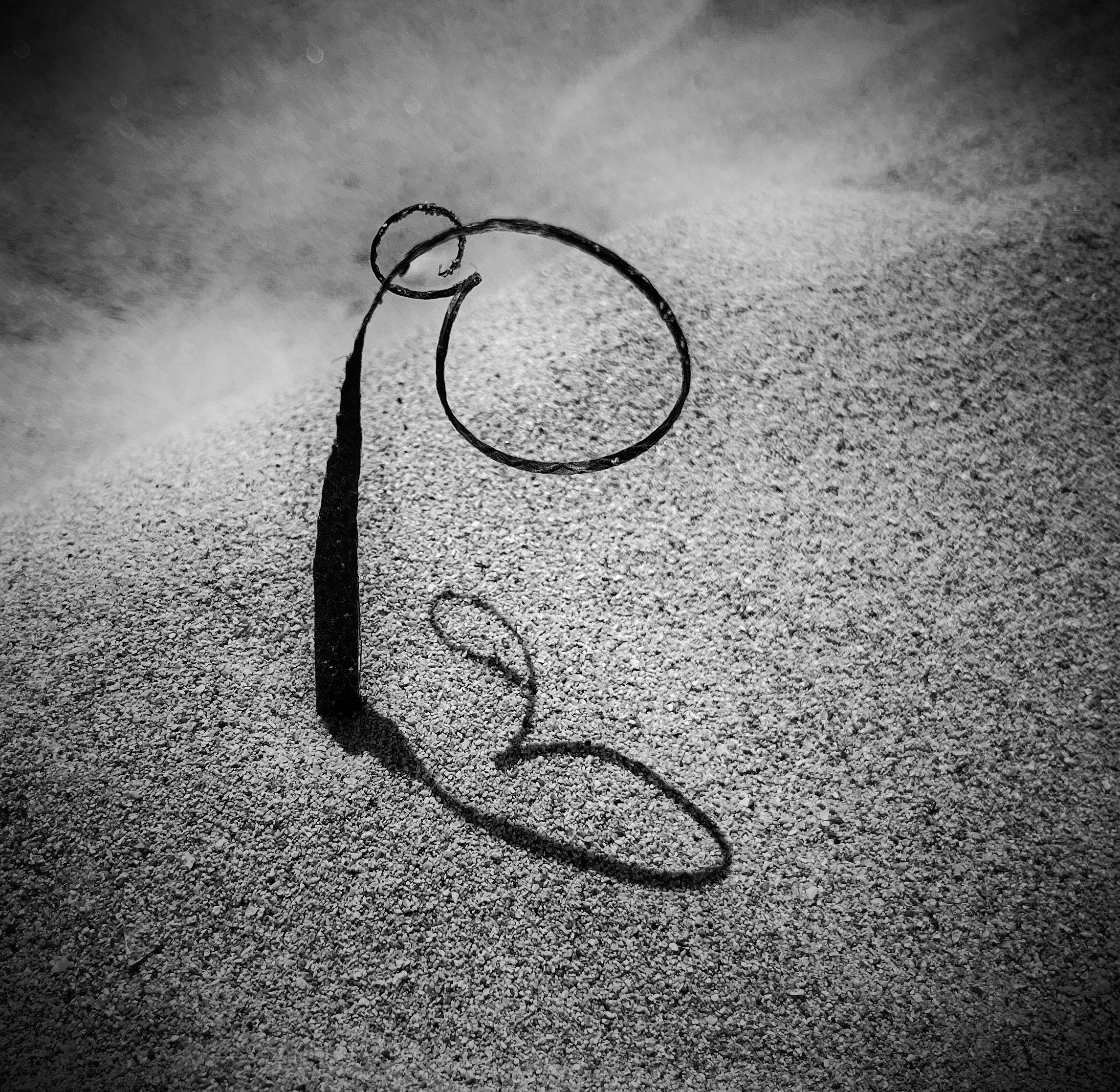 Whispers of the Desert: A Dance in Shadows