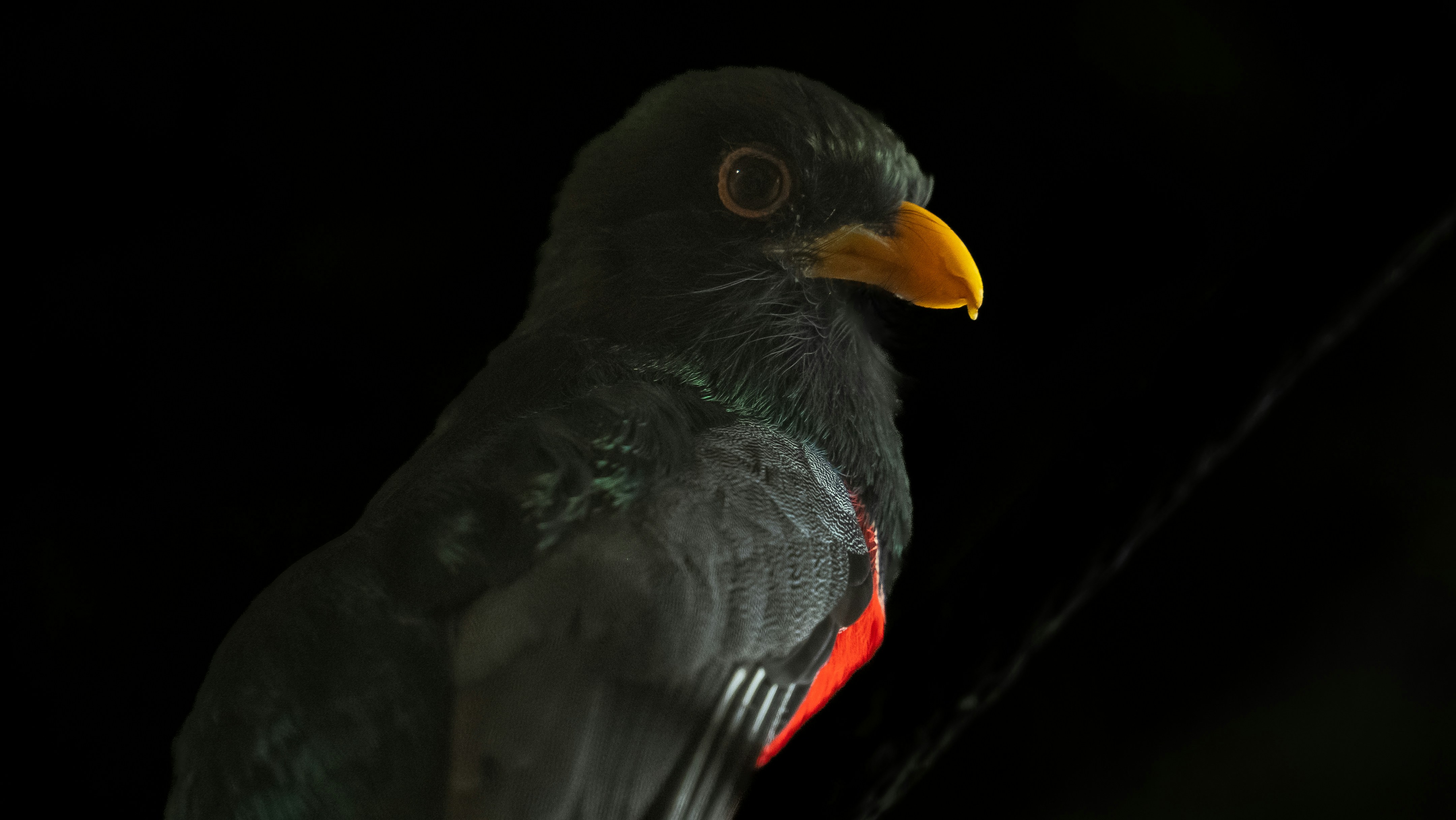 Photo by mana5280 with Sony Alpha 1