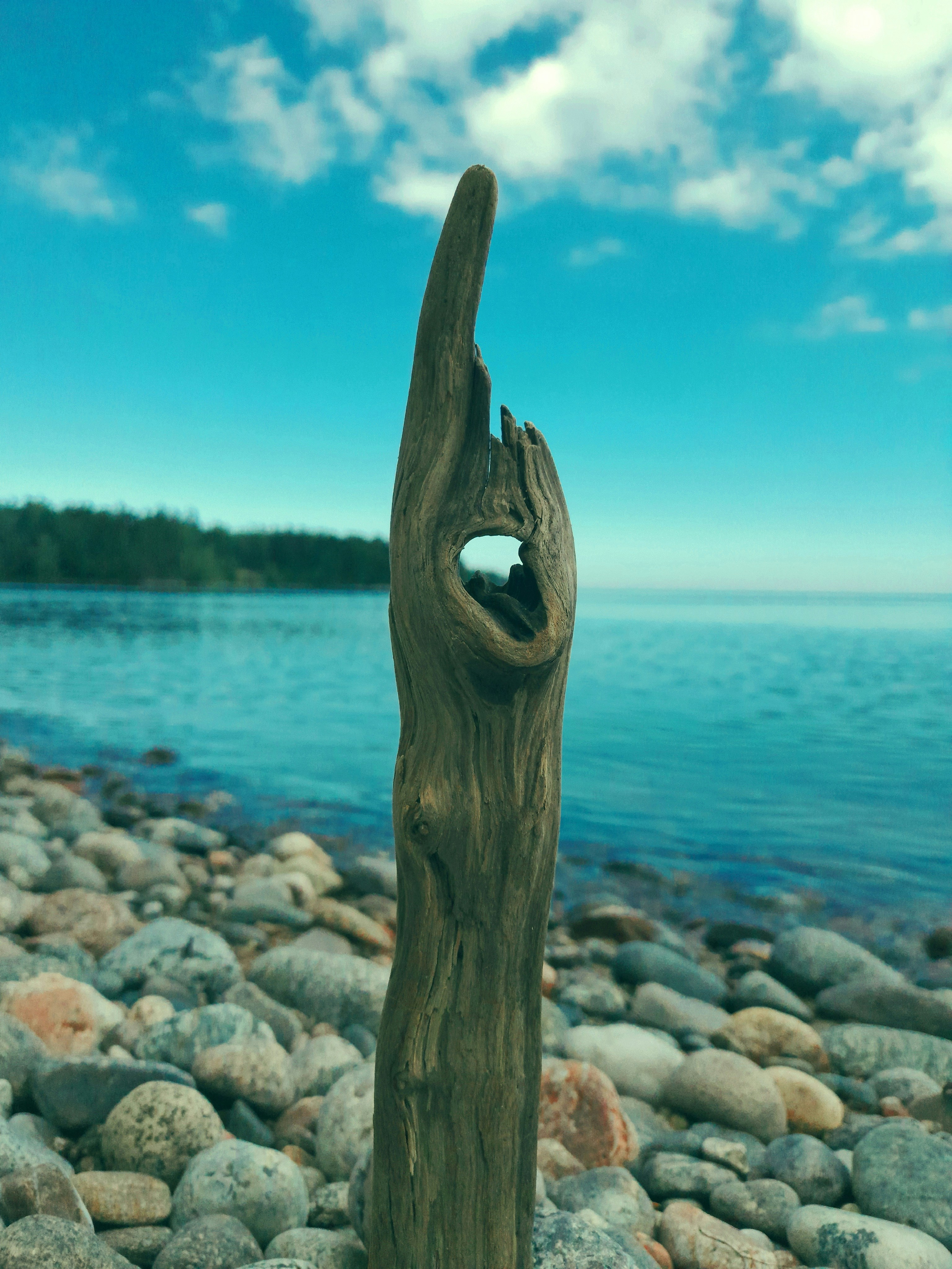 Photo by liis piirmets with Samsung Galaxy A12