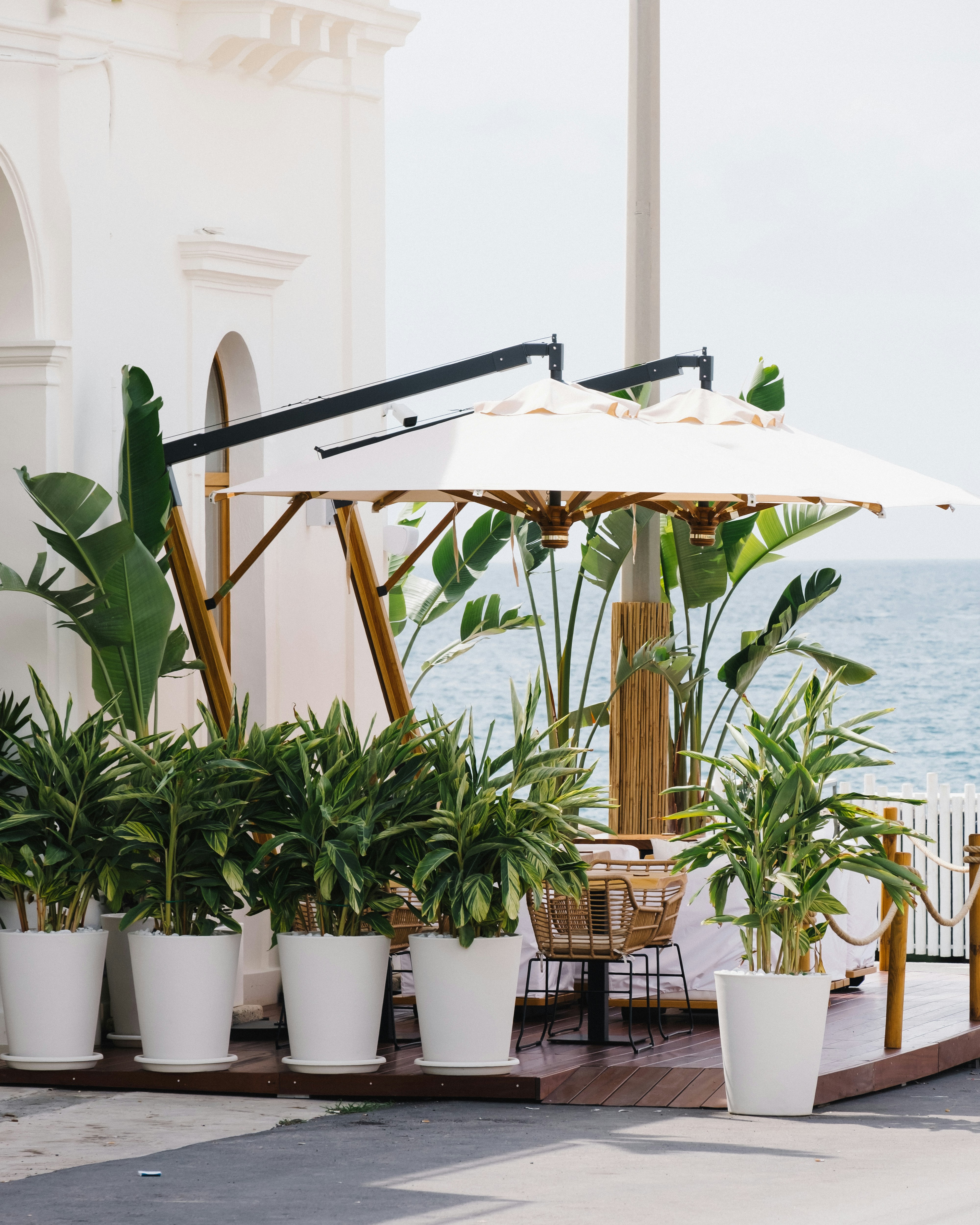 Un patio avec des plantes en pot et un parasol photo – Photo Italie ...