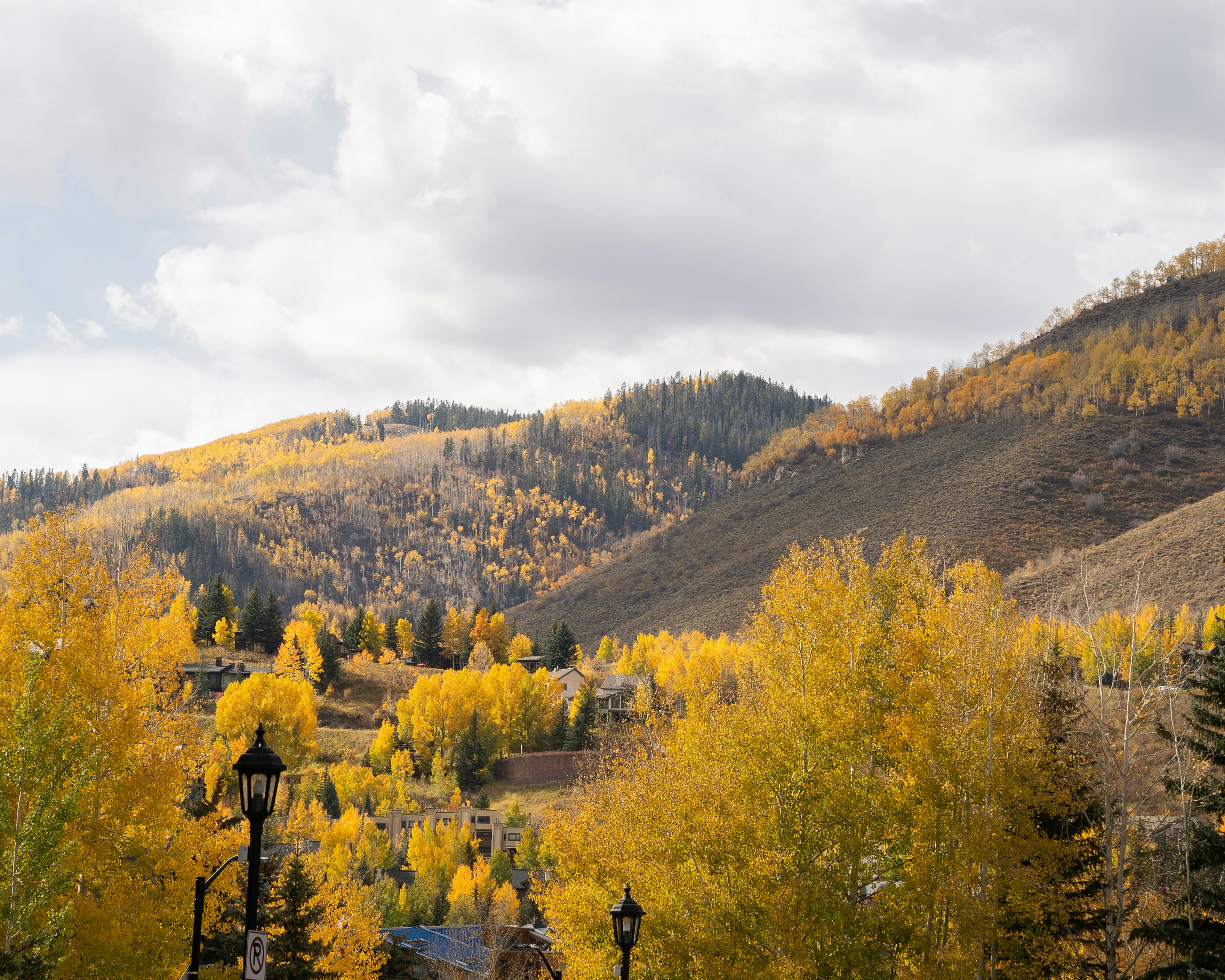 Golden Ridge: Autumn Trees and Lanterns Along a Hill