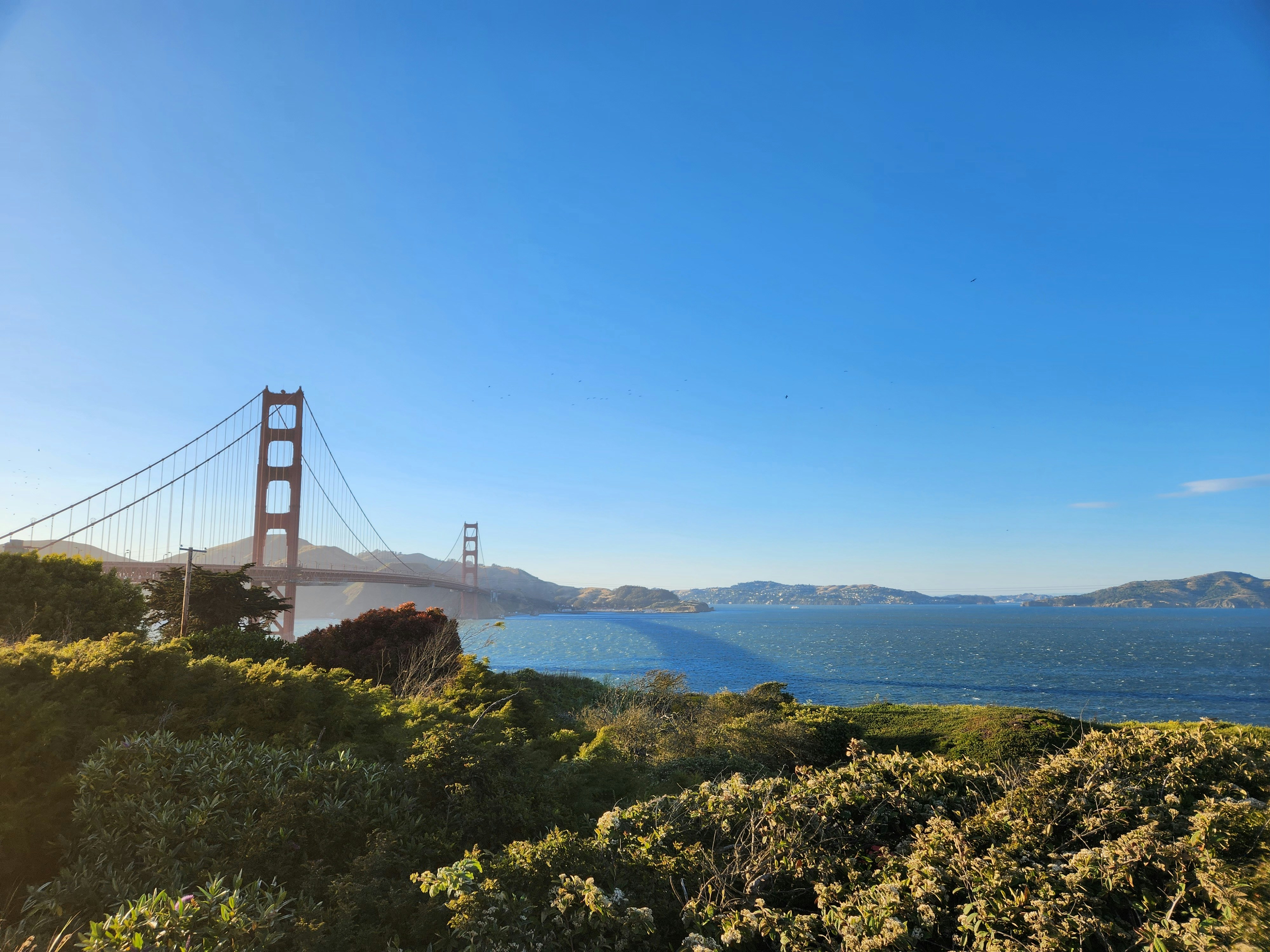 Une vue du Golden Gate Bridge depuis le sommet d’une colline photo ...