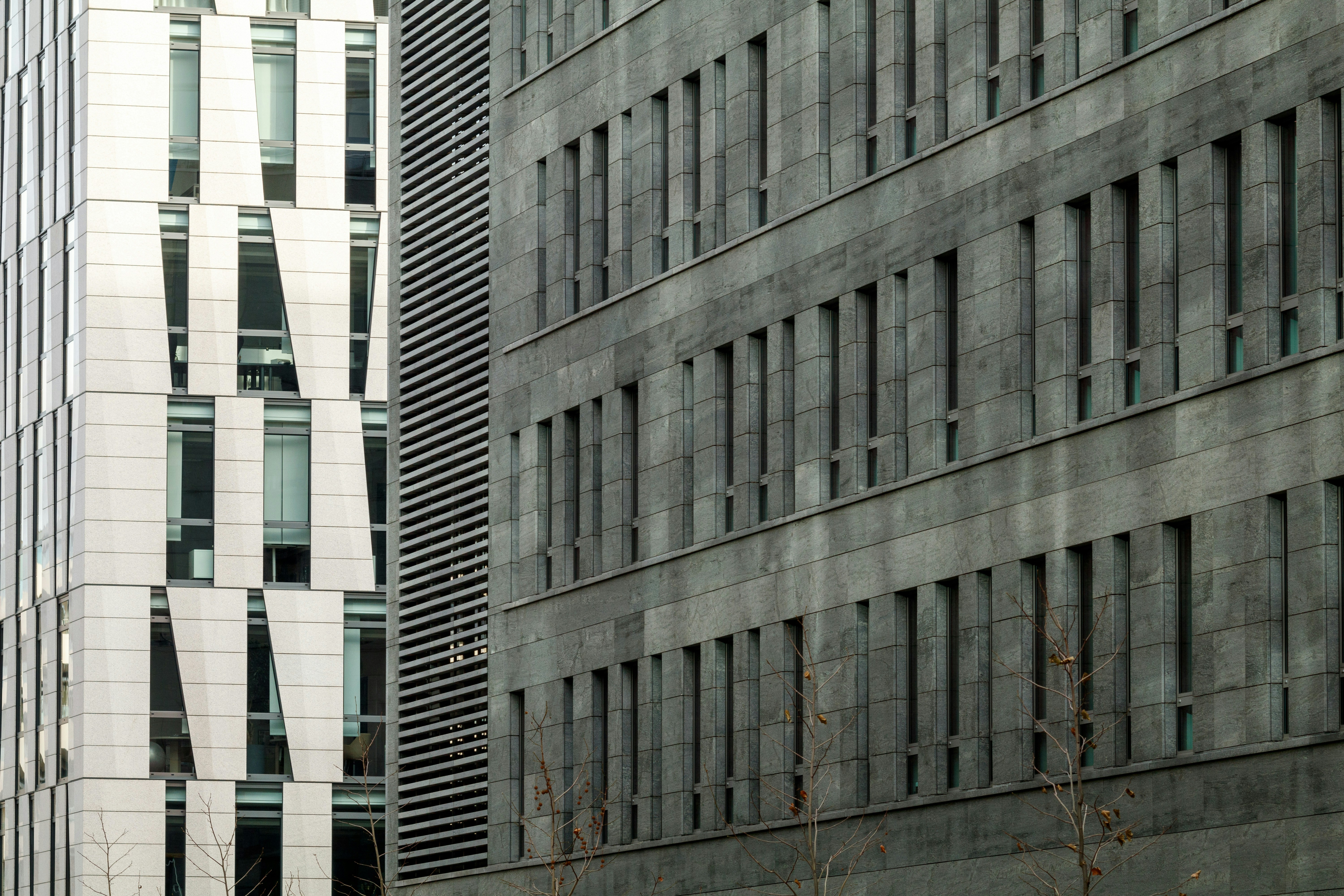 Photo by Milan Chudoba with Canon EOS 80D