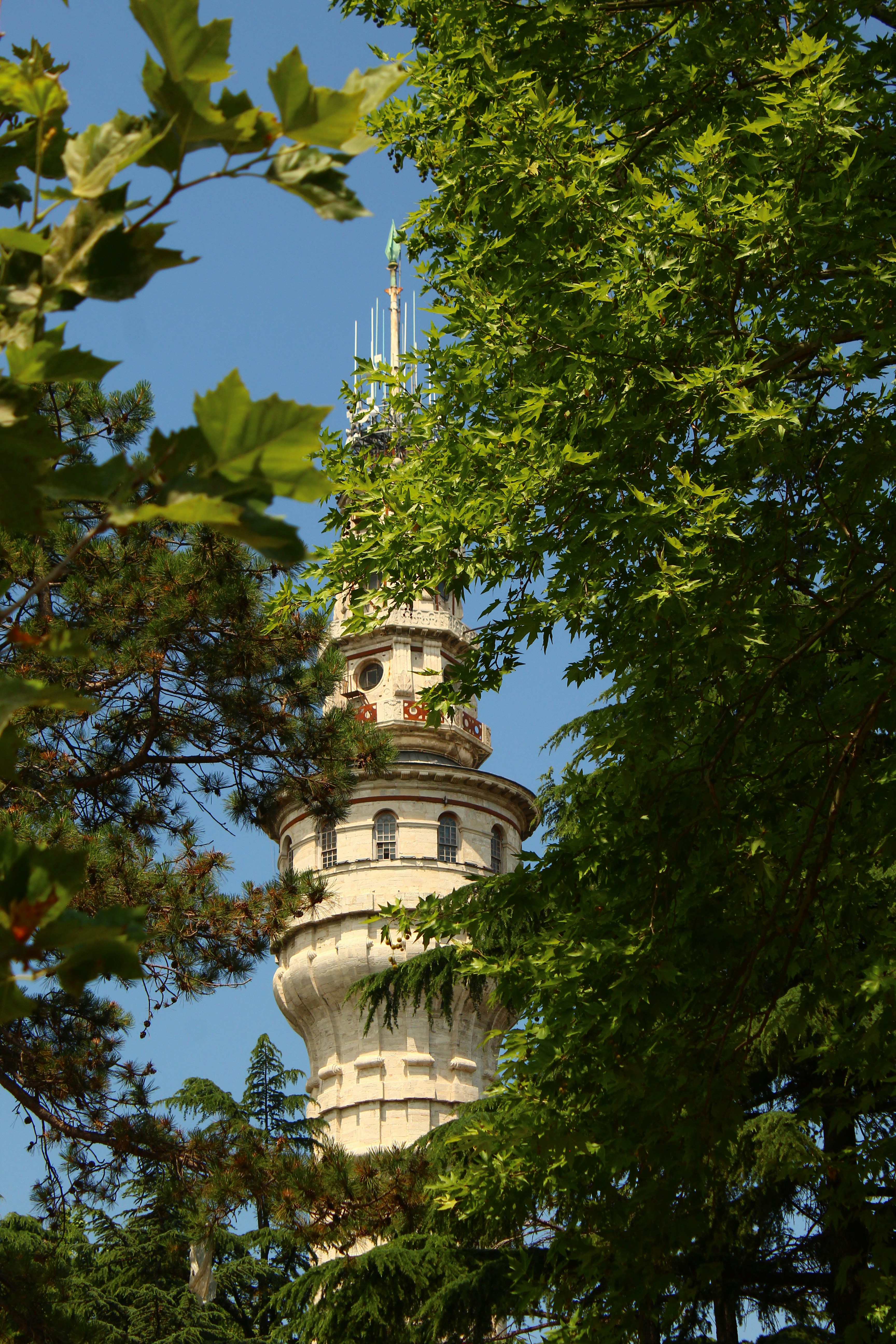 Canopy Frame: A Historic Spire Peeks Through Greenery